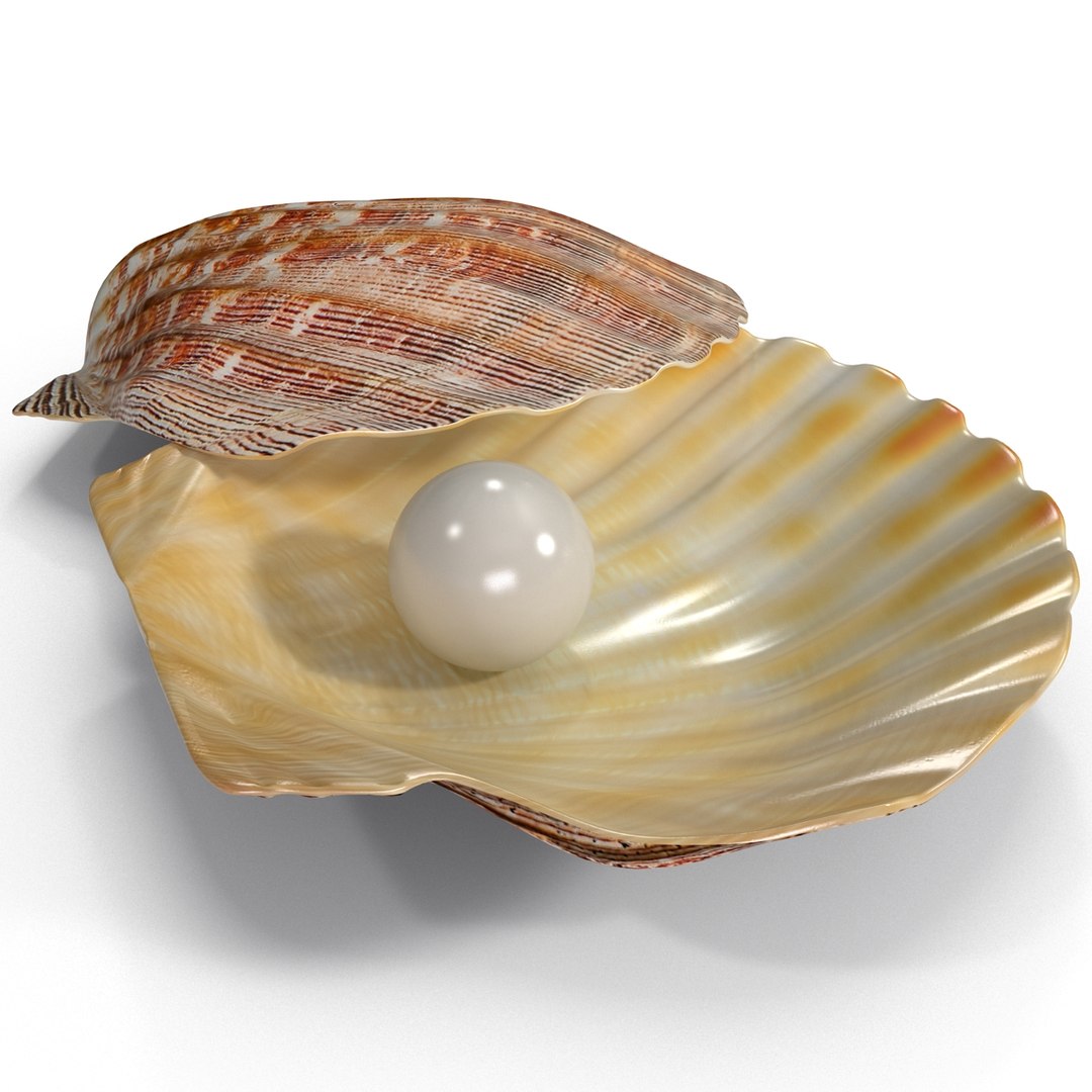 pearl shell 2 3d 3ds