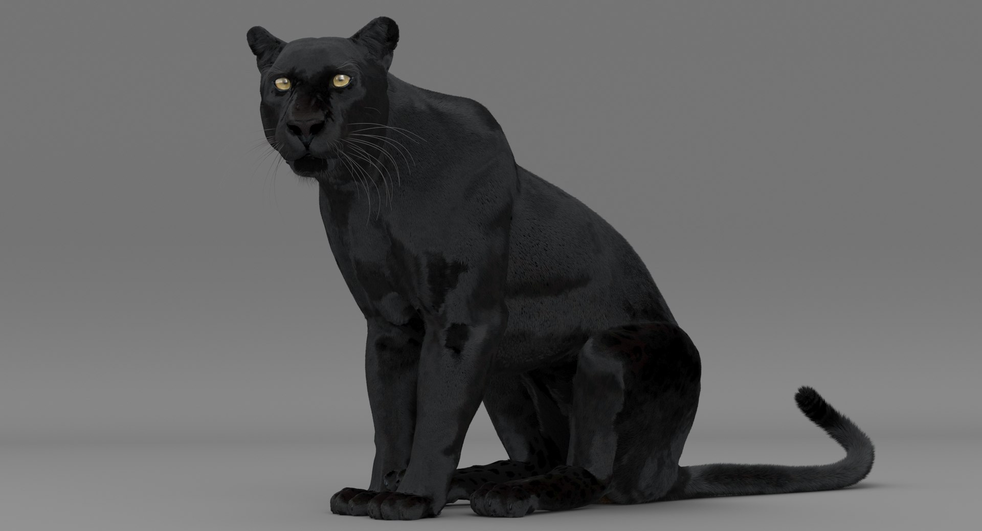 3D model black panther fur - TurboSquid 1433332