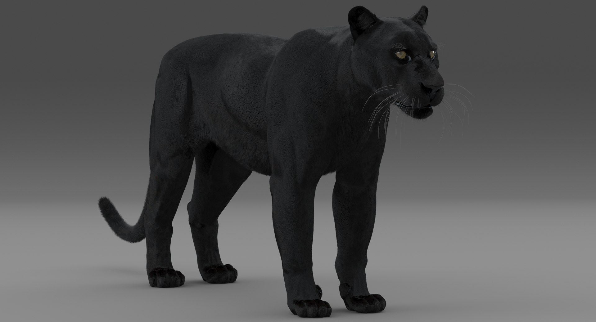 3D model black panther fur - TurboSquid 1433332