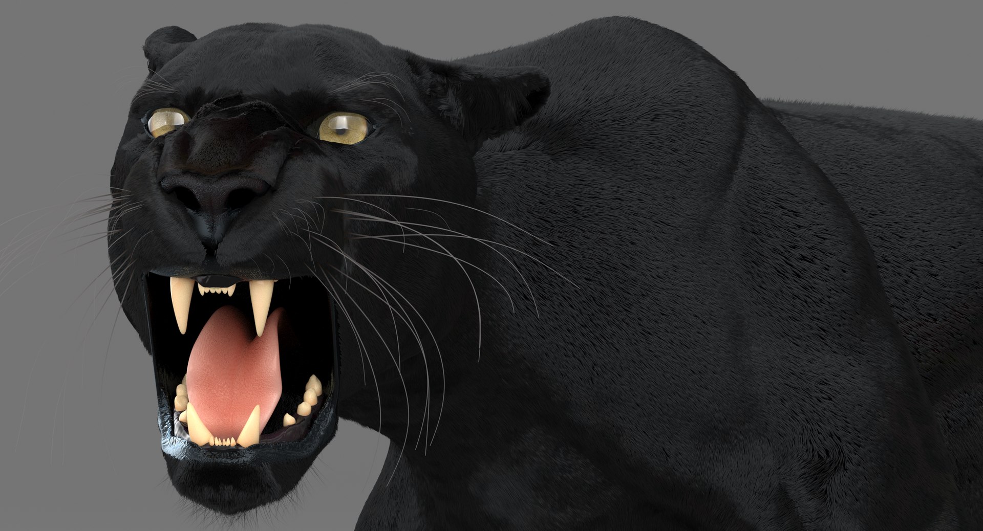 3D model black panther fur - TurboSquid 1433332