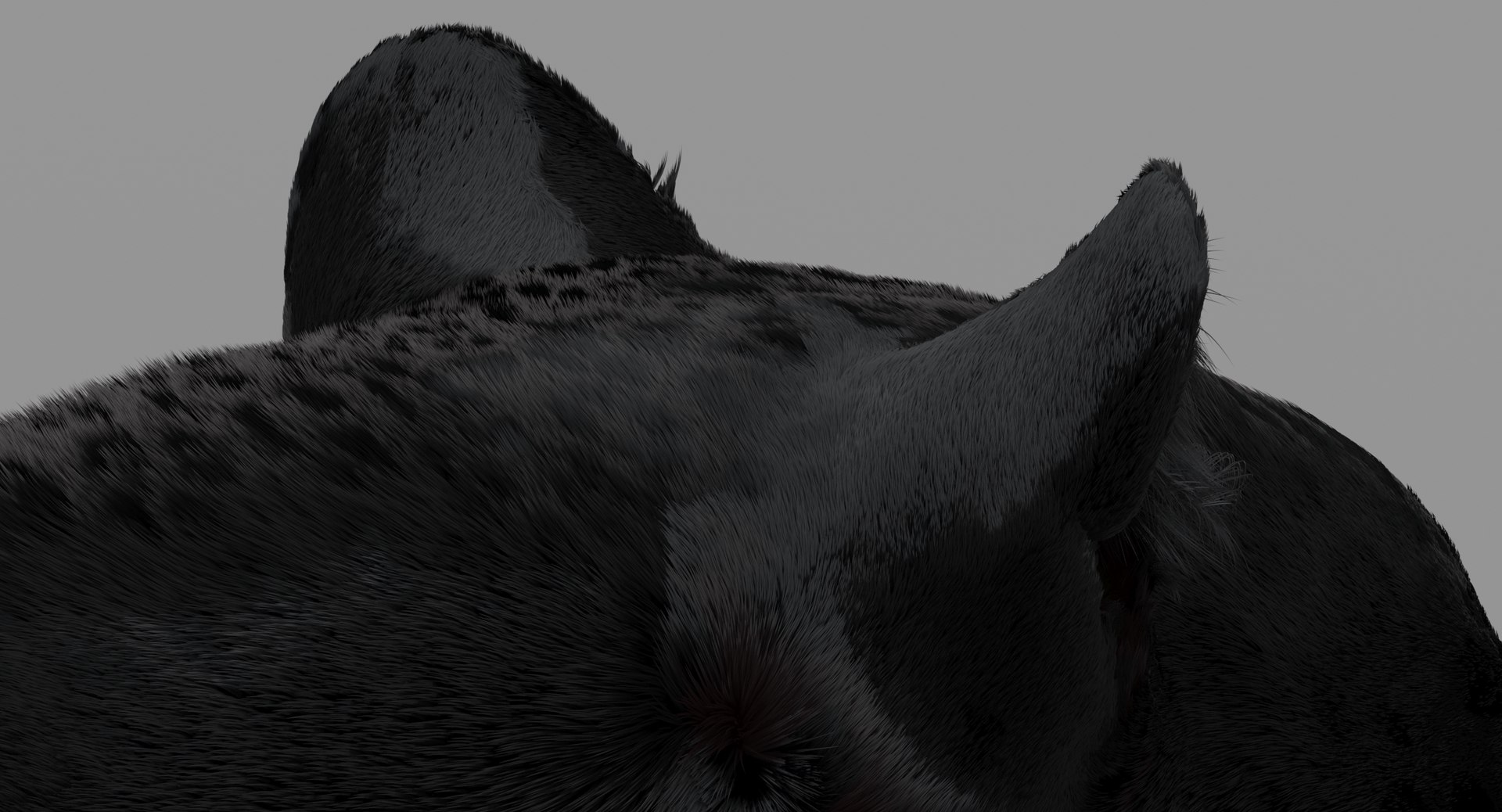 3D model black panther fur - TurboSquid 1433332