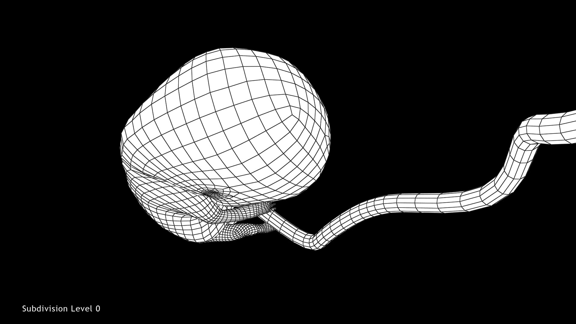 10 Weeks Human Fetus 3D Model - TurboSquid 2036586