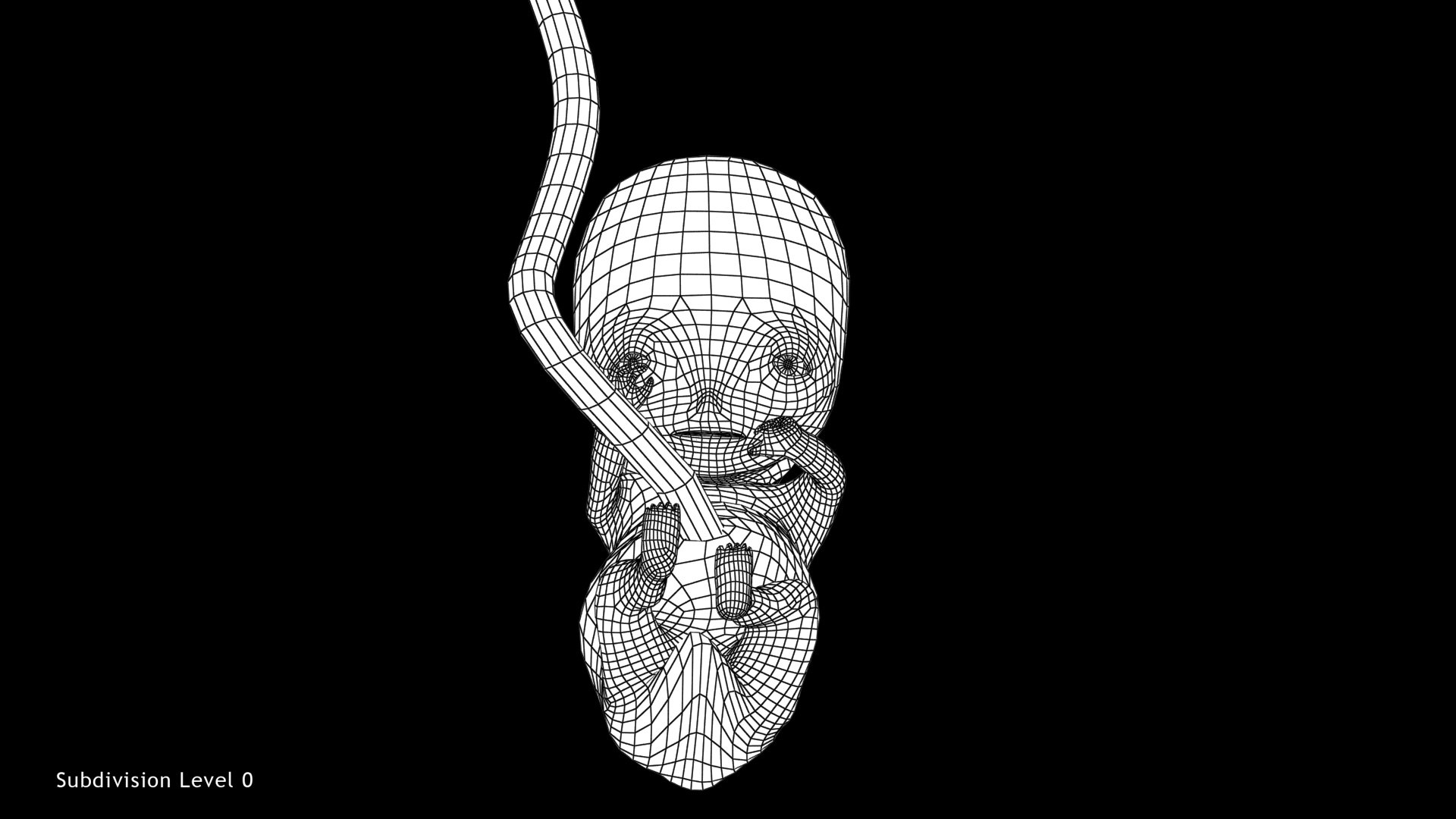 10 Weeks Human Fetus 3D Model - TurboSquid 2036586