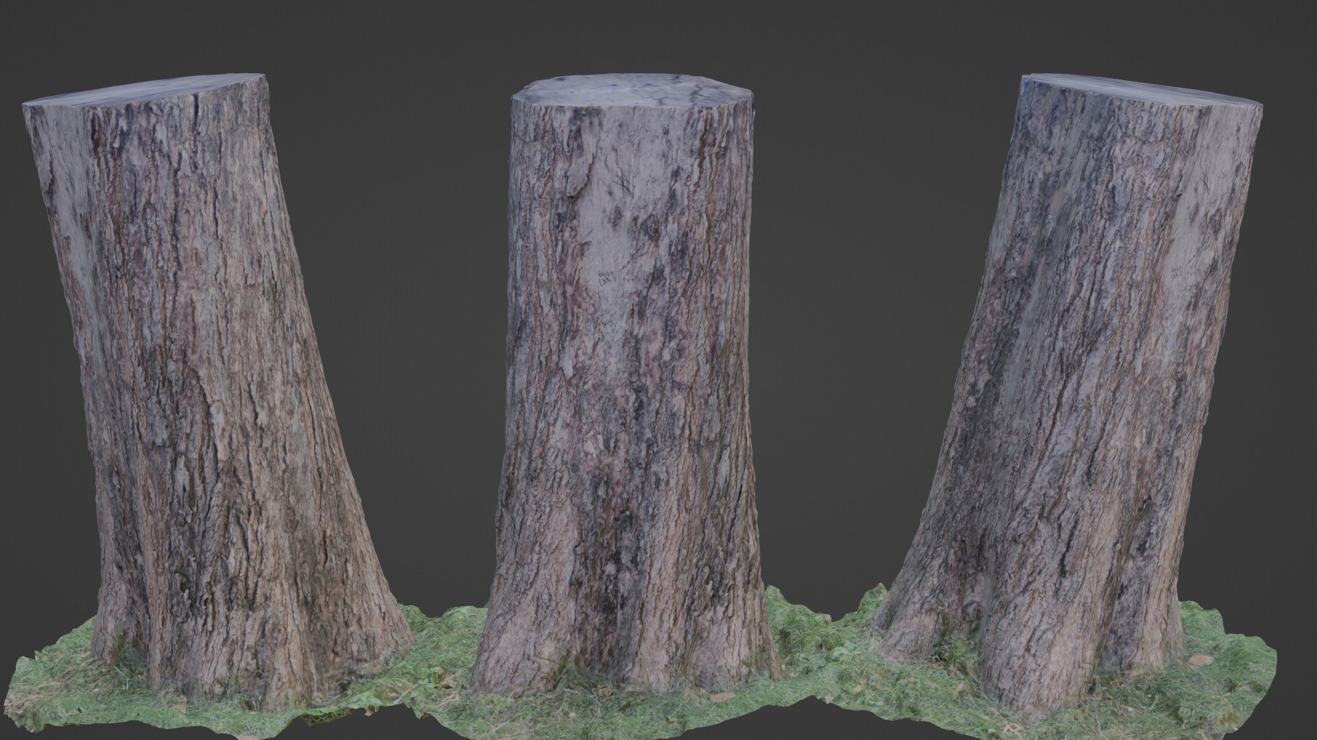 Trunk Scan 3D Model - TurboSquid 2332581