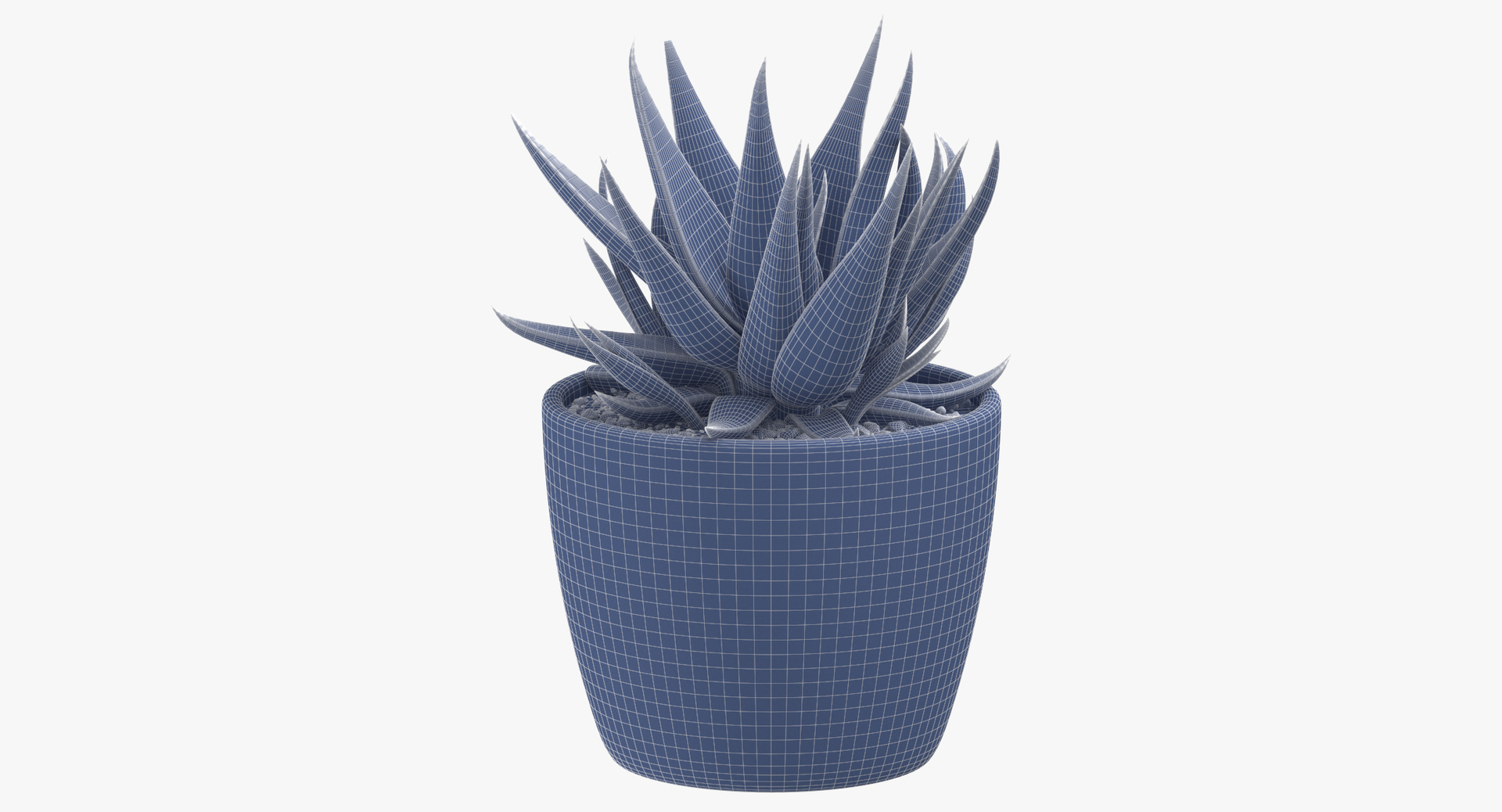 3D succulent 04 model - TurboSquid 1354219