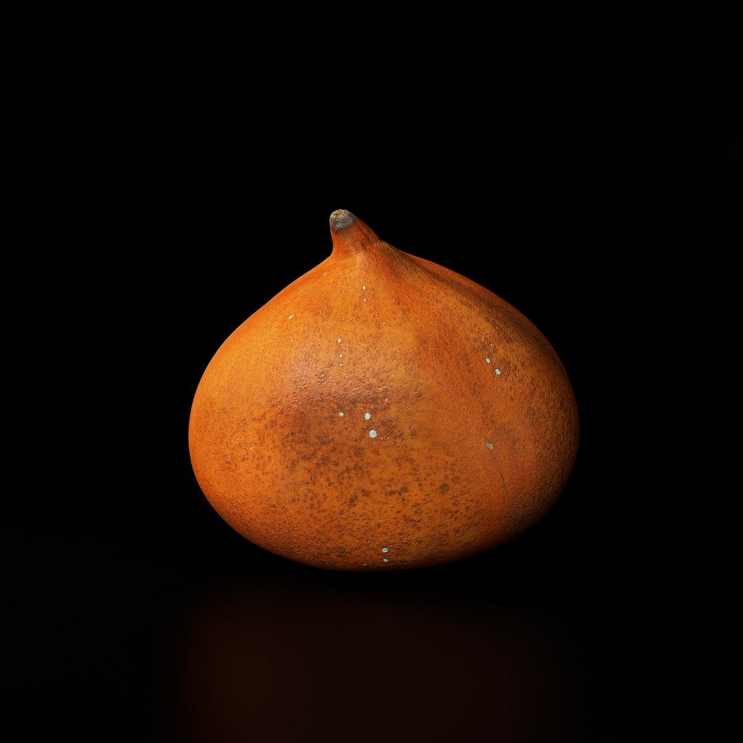 Pumpkins Set4 3D Model - TurboSquid 1979497
