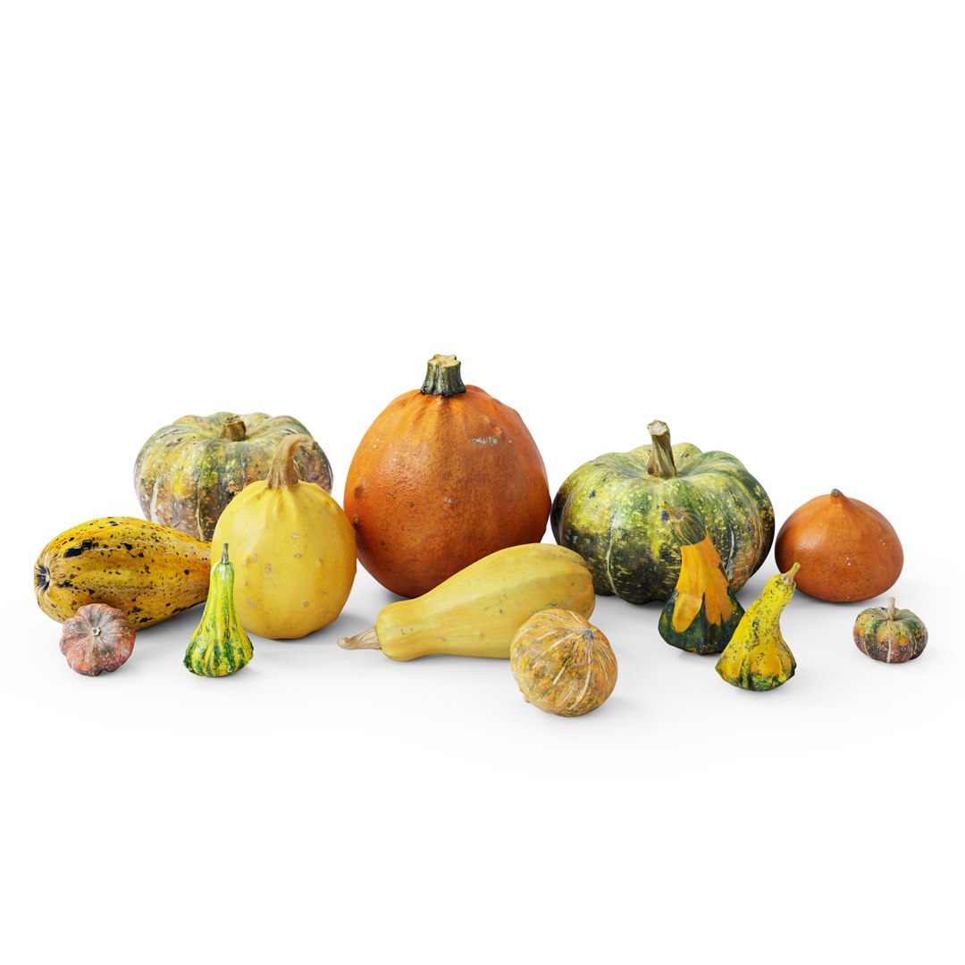 Pumpkins Set4 3D model - TurboSquid 1979497