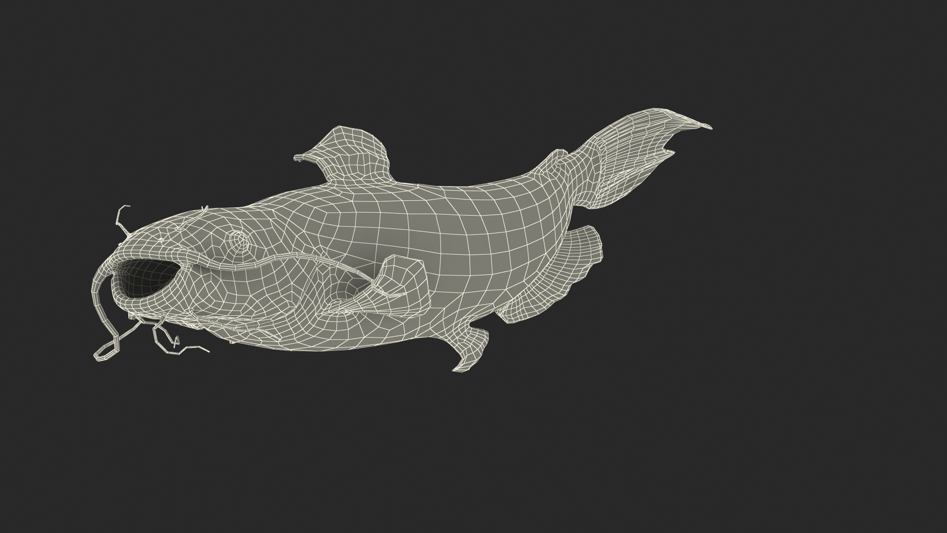 3D Channel Catfish Swimming Pose - TurboSquid 1828559