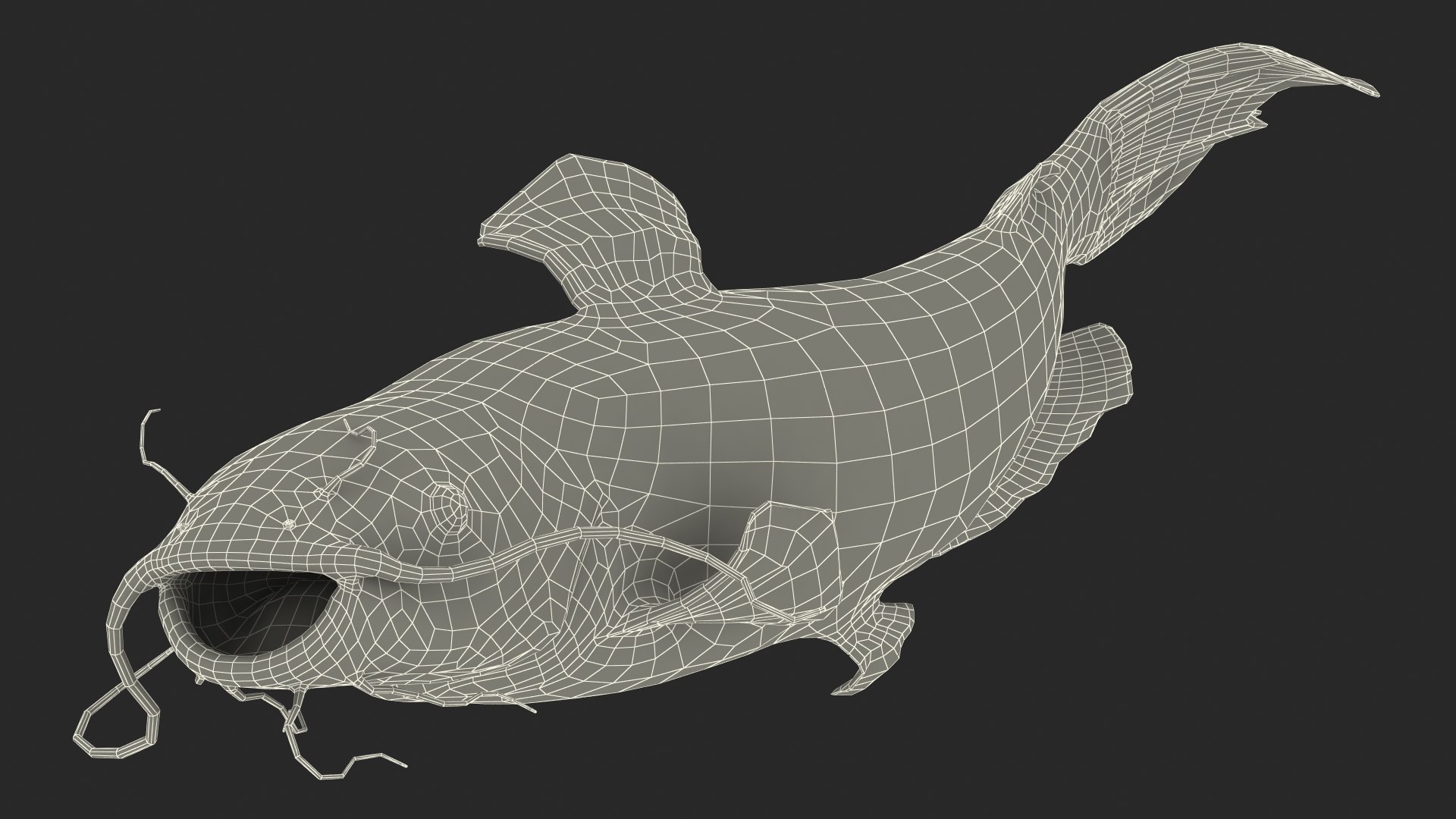 3D Channel Catfish Swimming Pose - TurboSquid 1828559