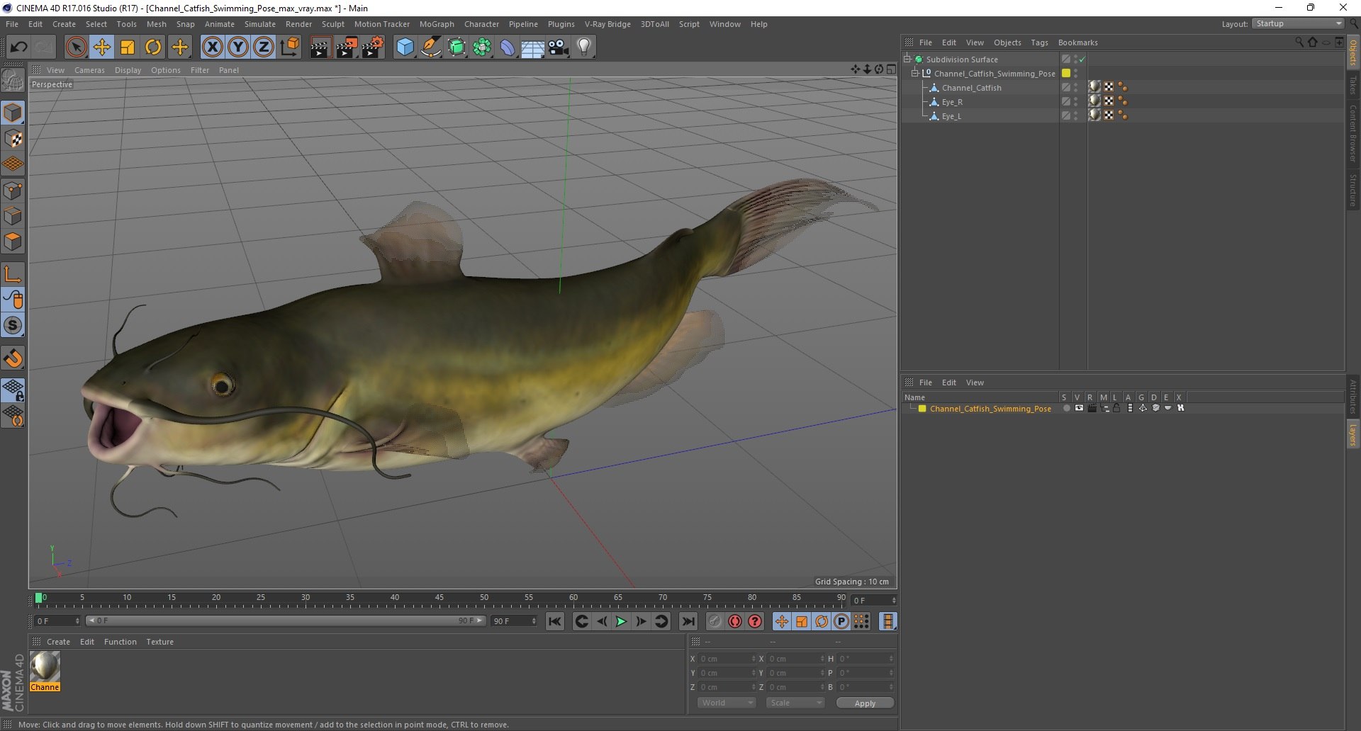 3D Channel Catfish Swimming Pose - TurboSquid 1828559