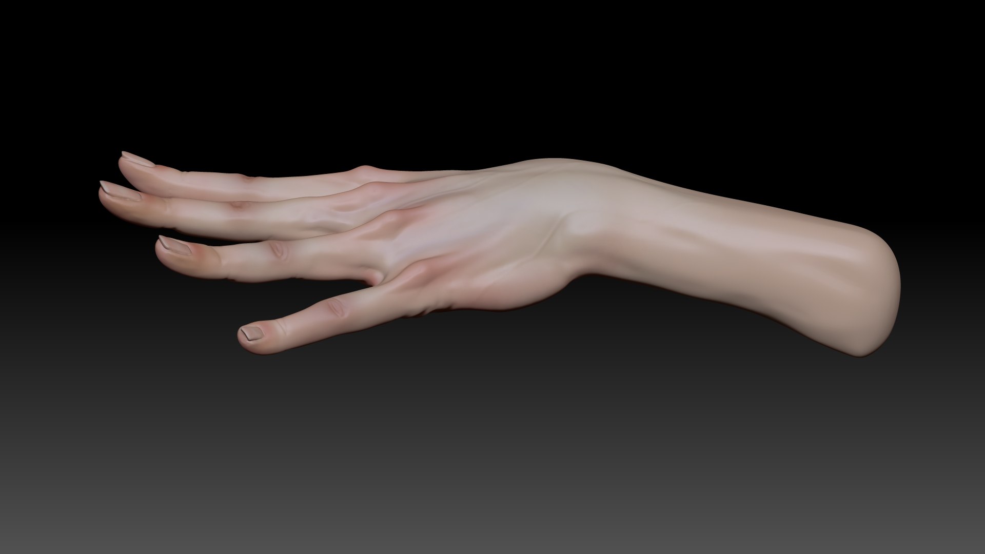 Female Pro Hand Sculpt Project Model - TurboSquid 2052463