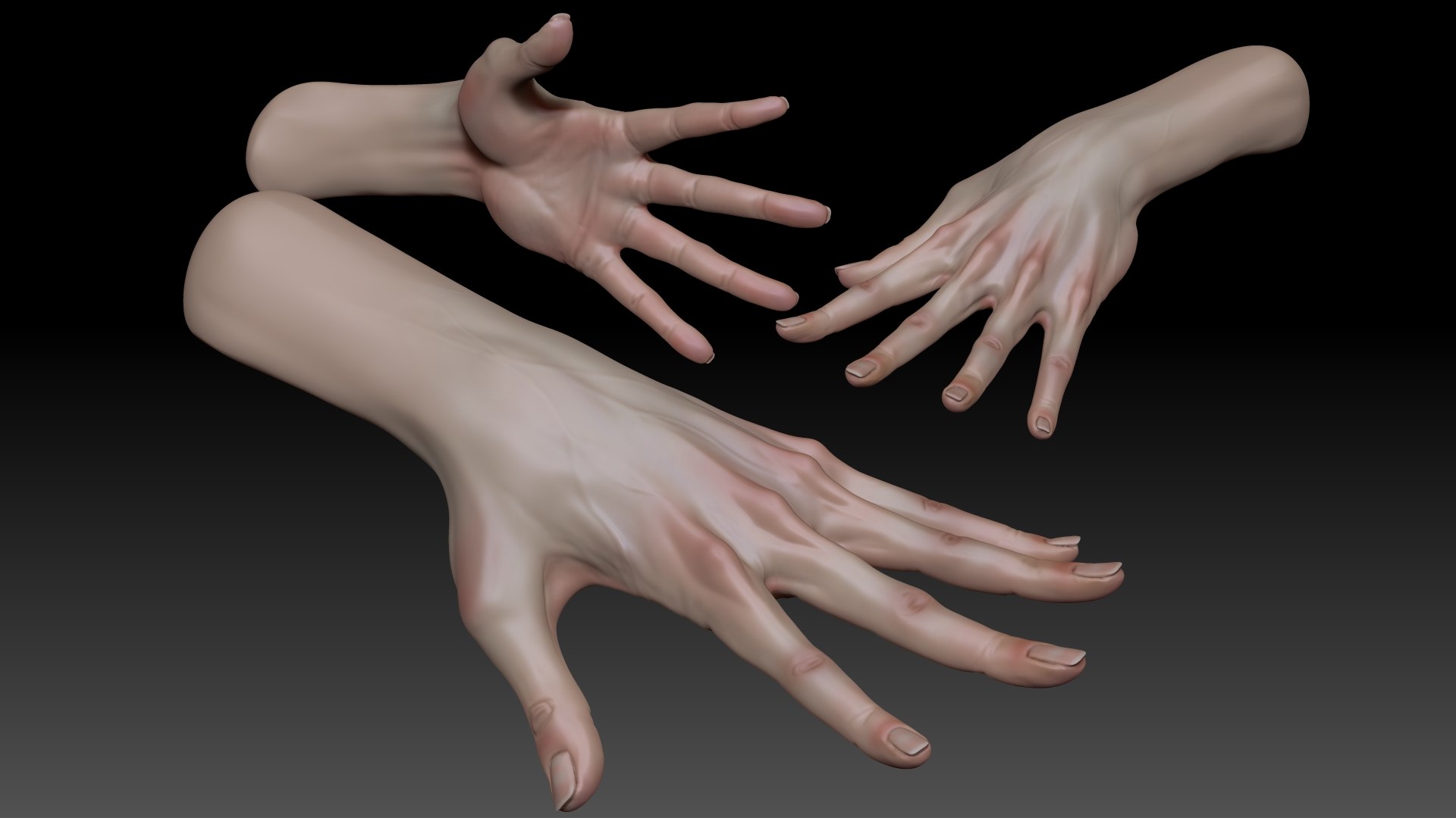 Female Pro Hand Sculpt Project Model - TurboSquid 2052463