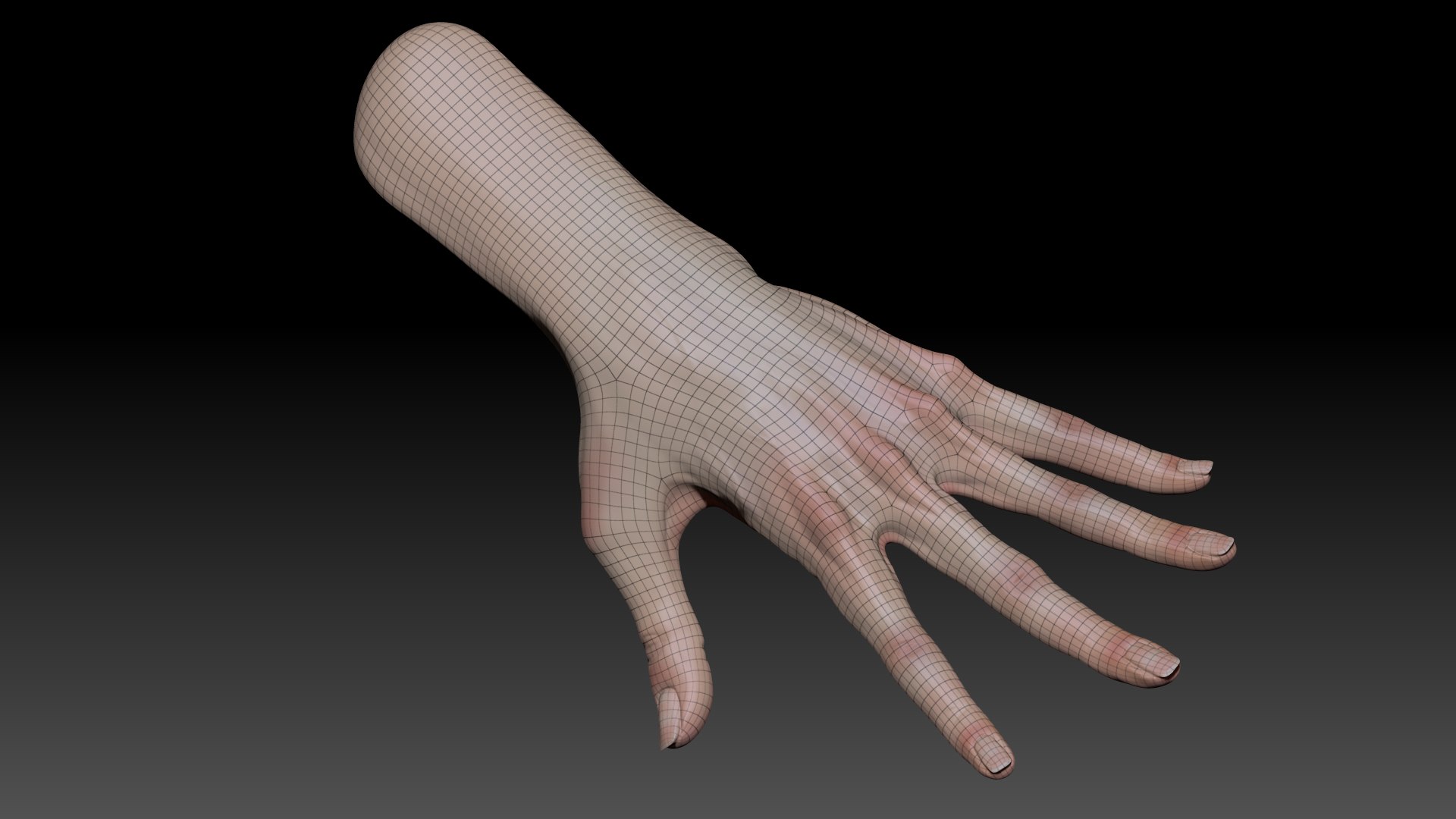 Female Pro Hand Sculpt Project Model - TurboSquid 2052463