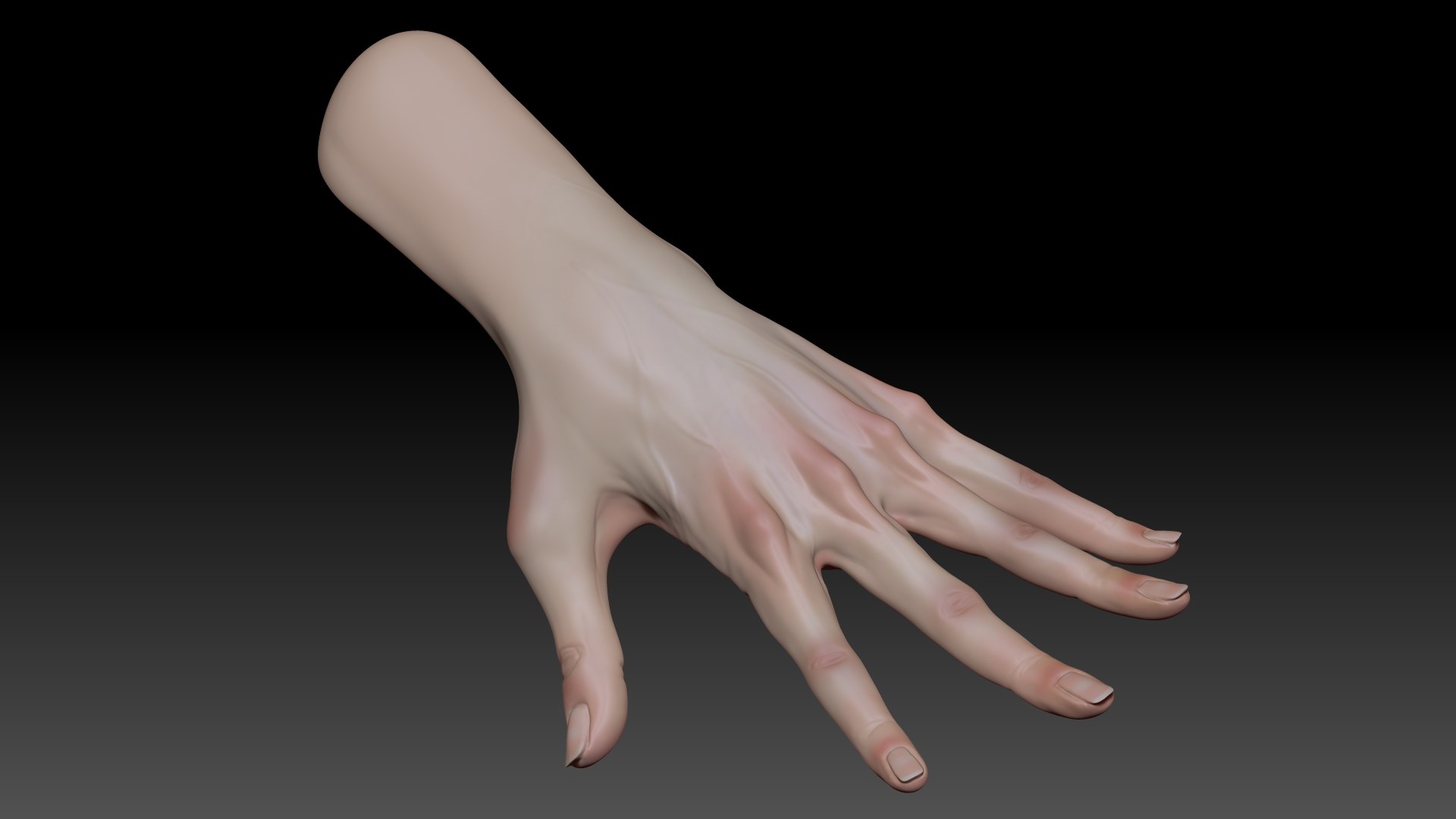 Female Pro Hand Sculpt Project Model - TurboSquid 2052463