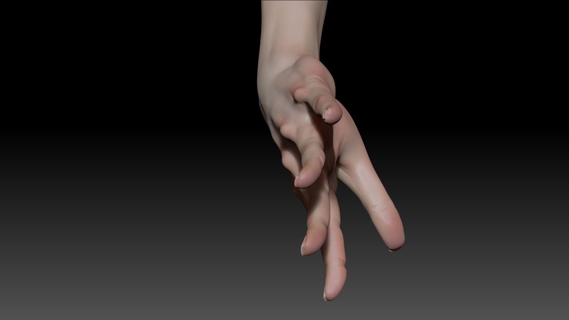 Female Pro Hand Sculpt Project Model - TurboSquid 2052463