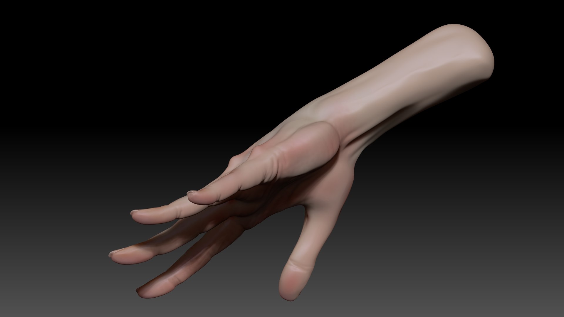 Female Pro Hand Sculpt Project Model - TurboSquid 2052463