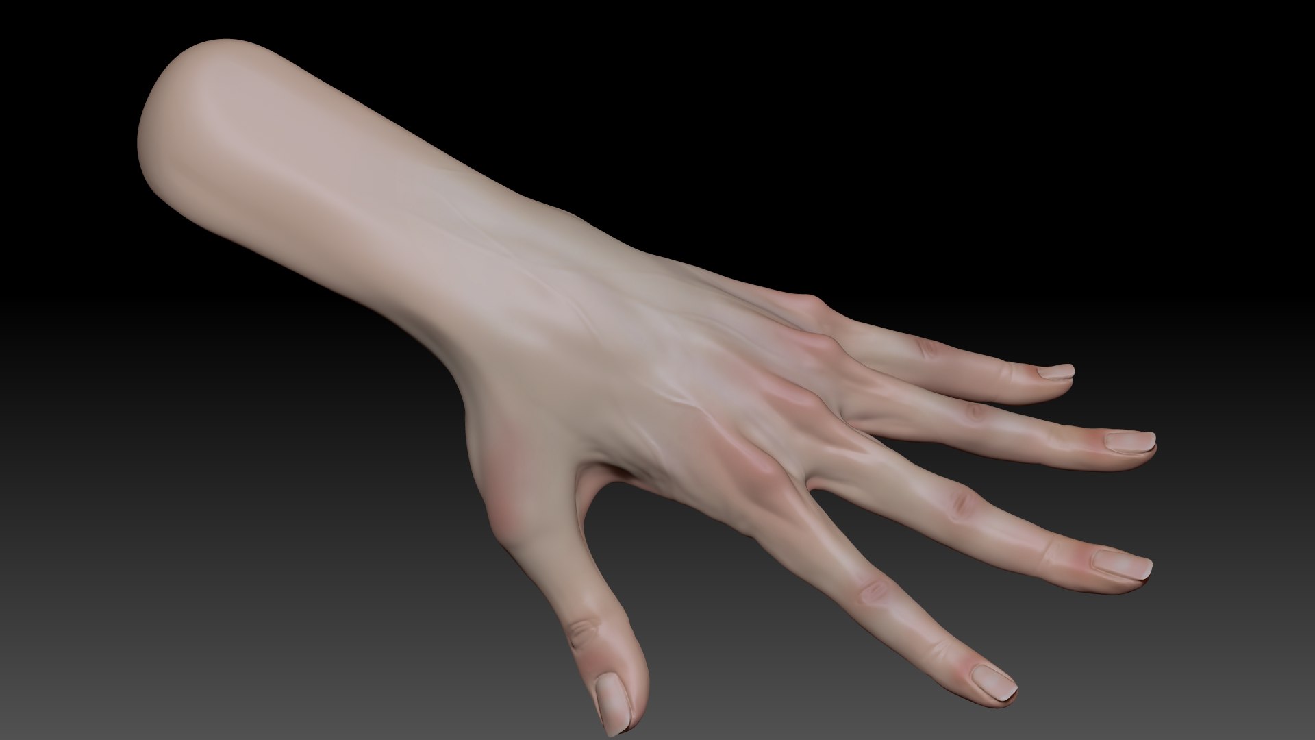 Female Pro Hand Sculpt Project Model - TurboSquid 2052463