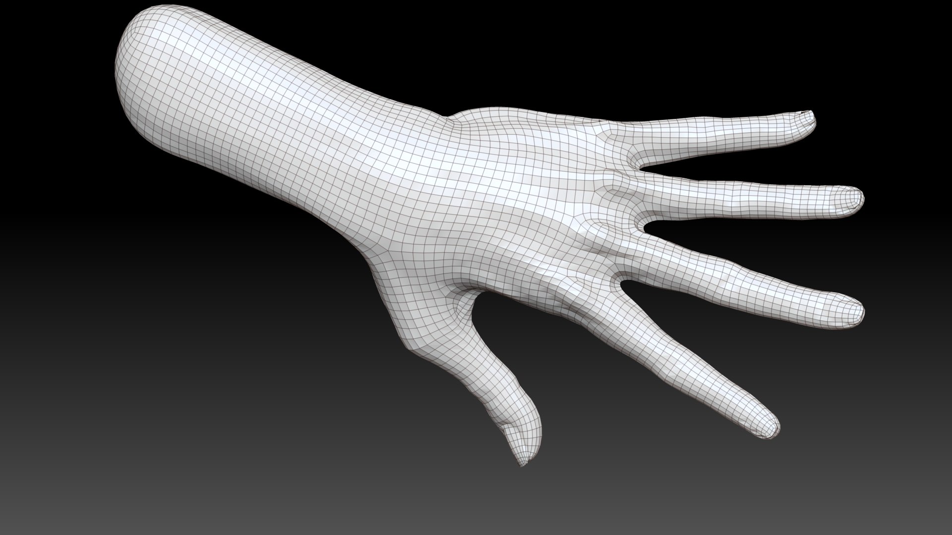 Female Pro Hand Sculpt Project Model - TurboSquid 2052463
