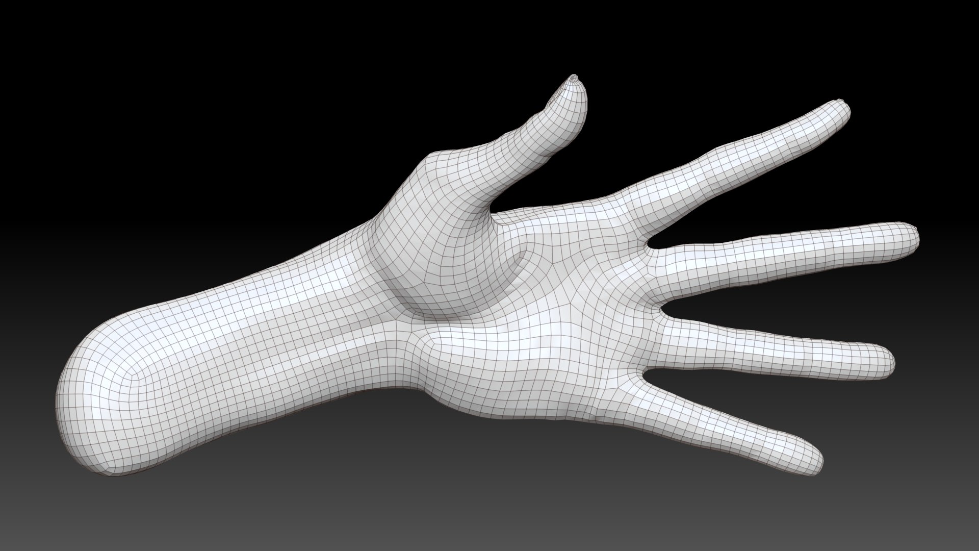 Female Pro Hand Sculpt Project Model - TurboSquid 2052463