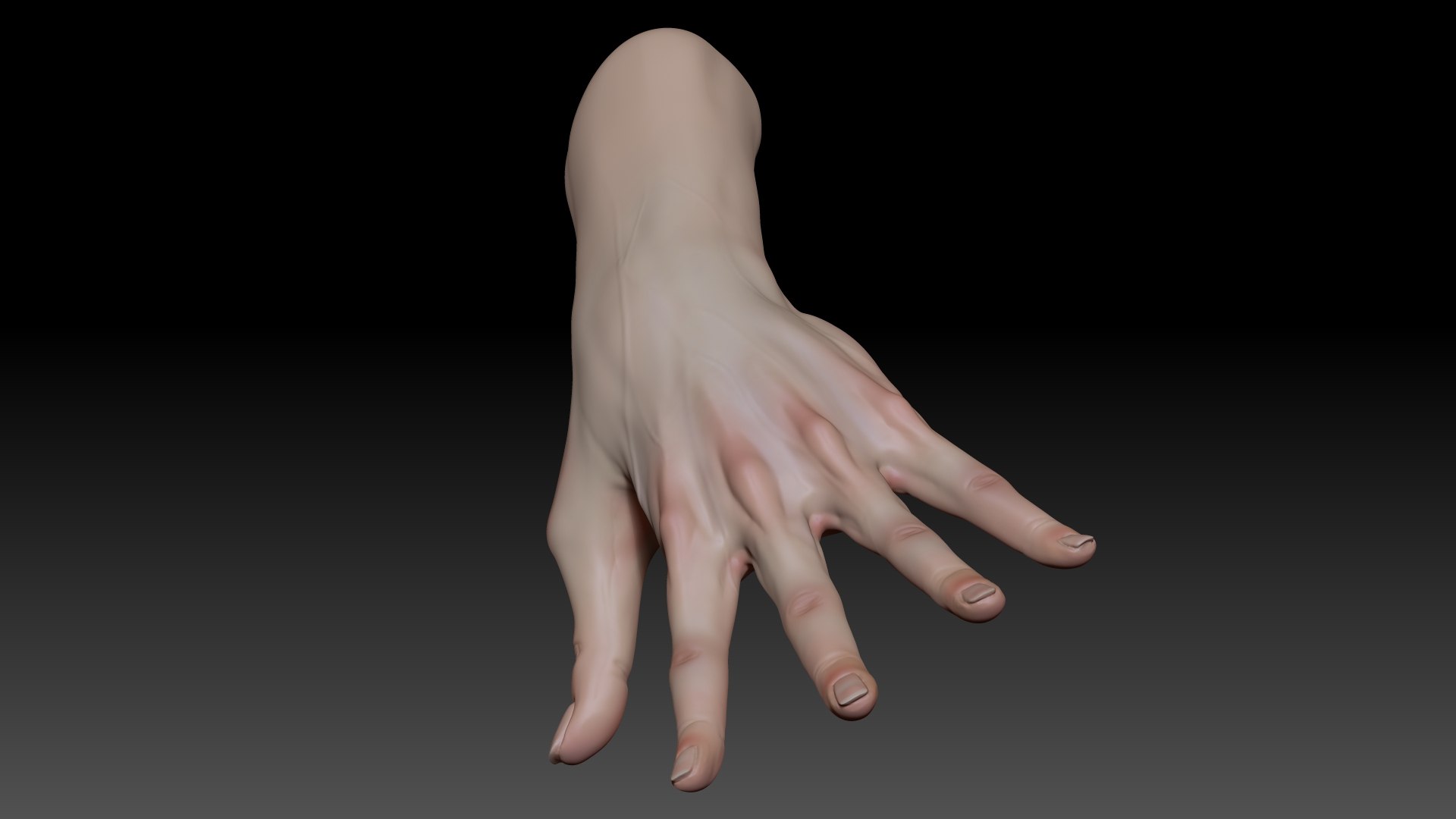 Female Pro Hand Sculpt Project Model - TurboSquid 2052463