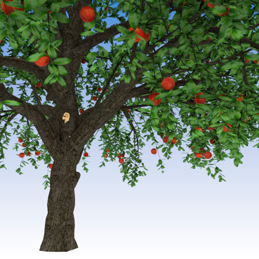 3D apple tree model - TurboSquid 936096