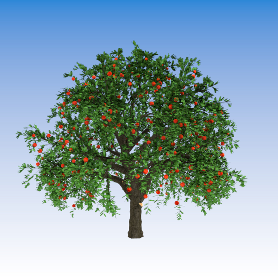 3D apple tree model - TurboSquid 936096