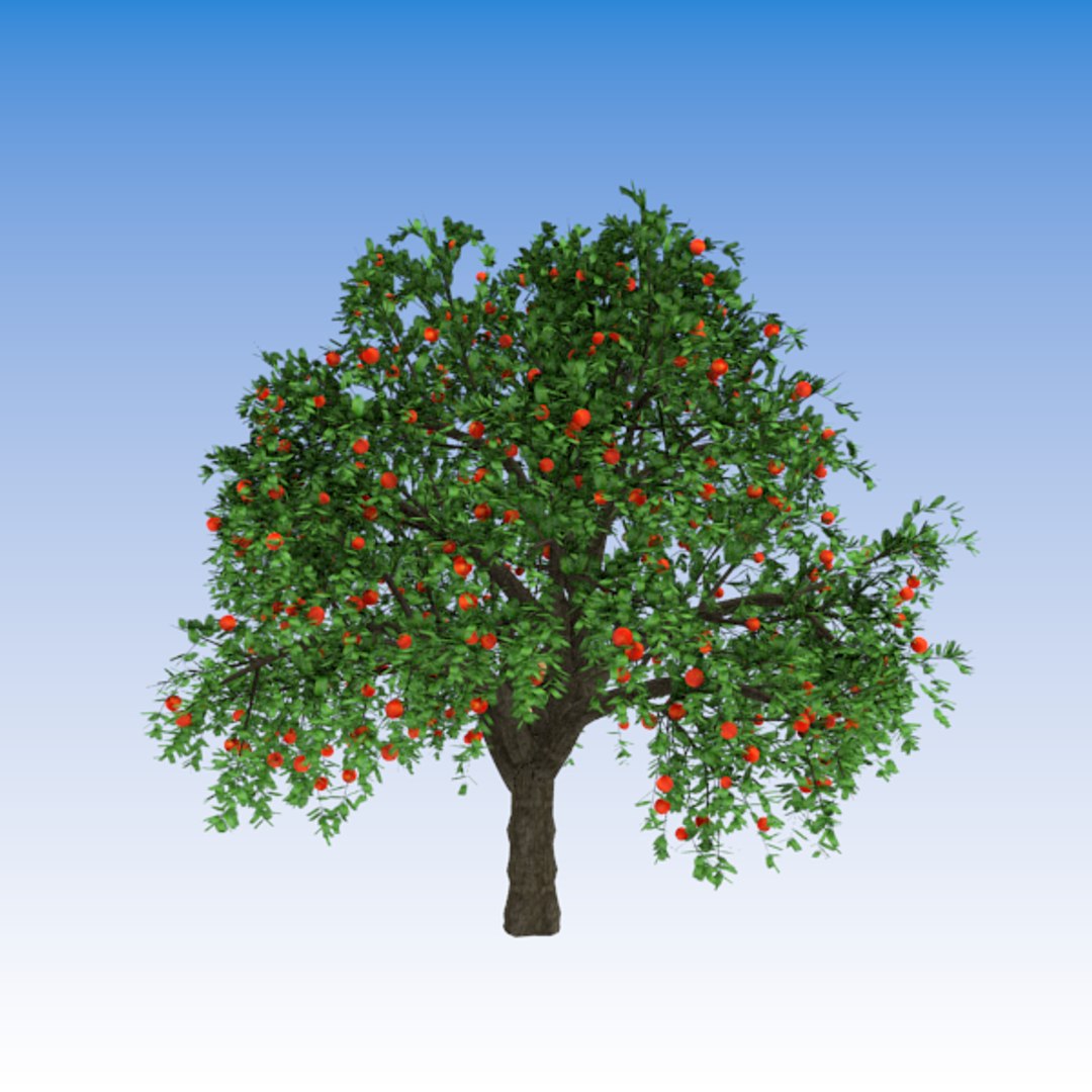 3D apple tree model - TurboSquid 936096