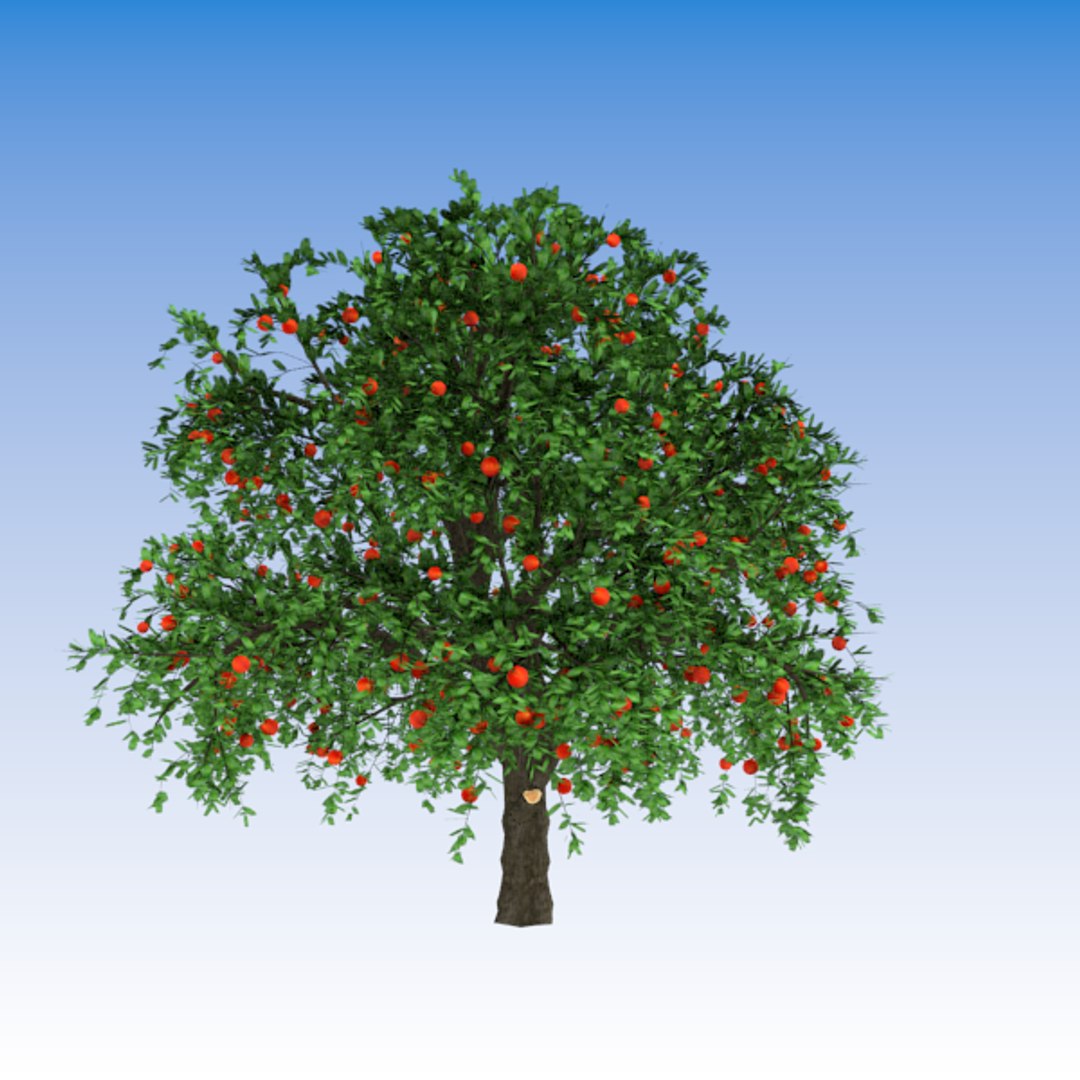 3D apple tree model - TurboSquid 936096