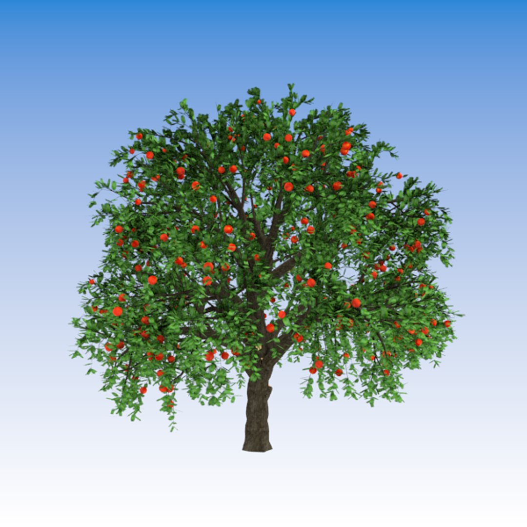 3D apple tree model - TurboSquid 936096