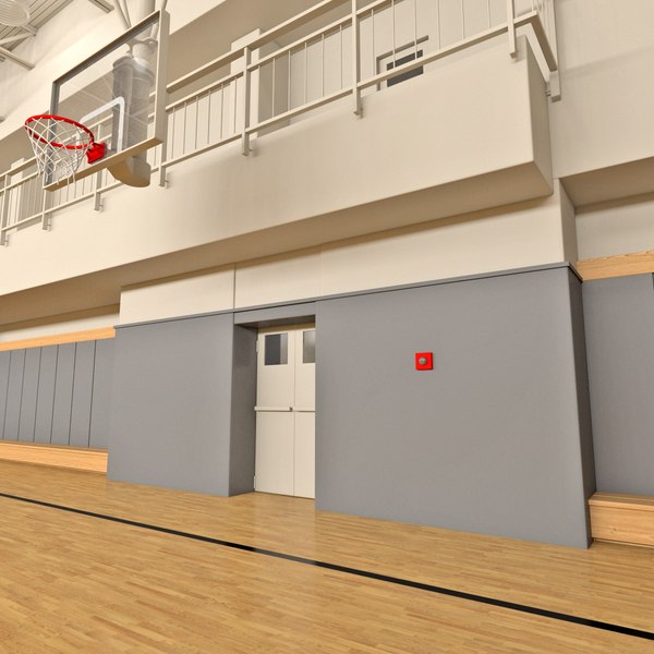 basketball gym max