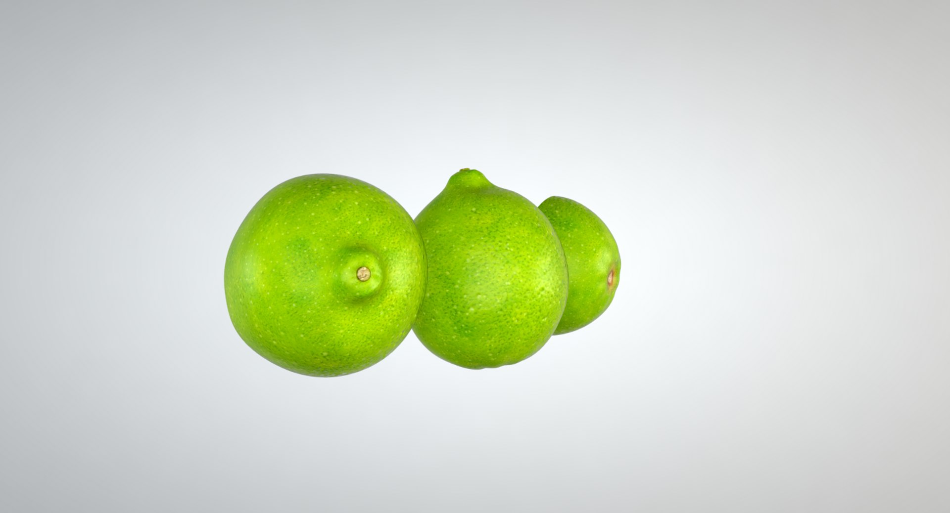 3d Lime Fruit Food Model