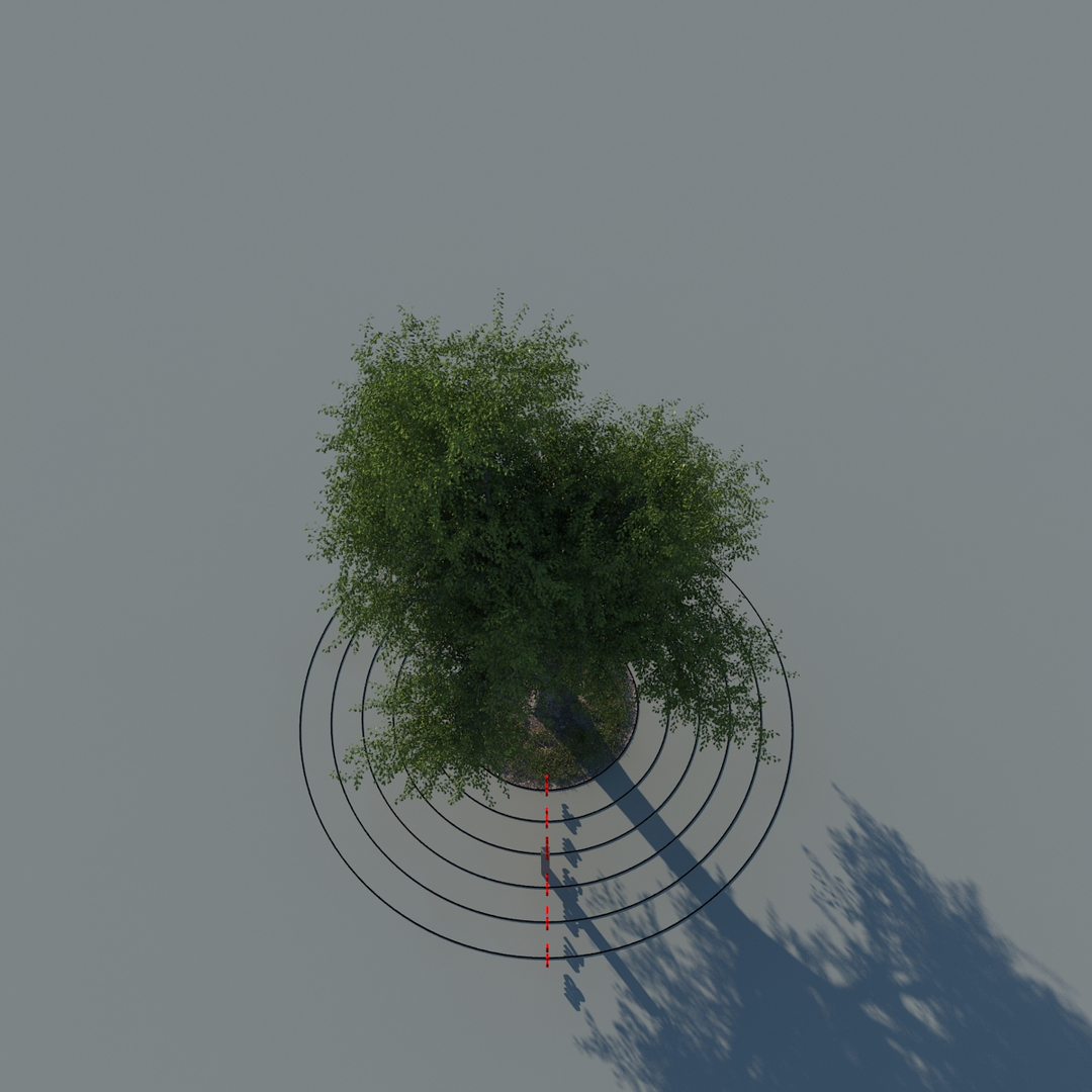 oak trees 3d obj