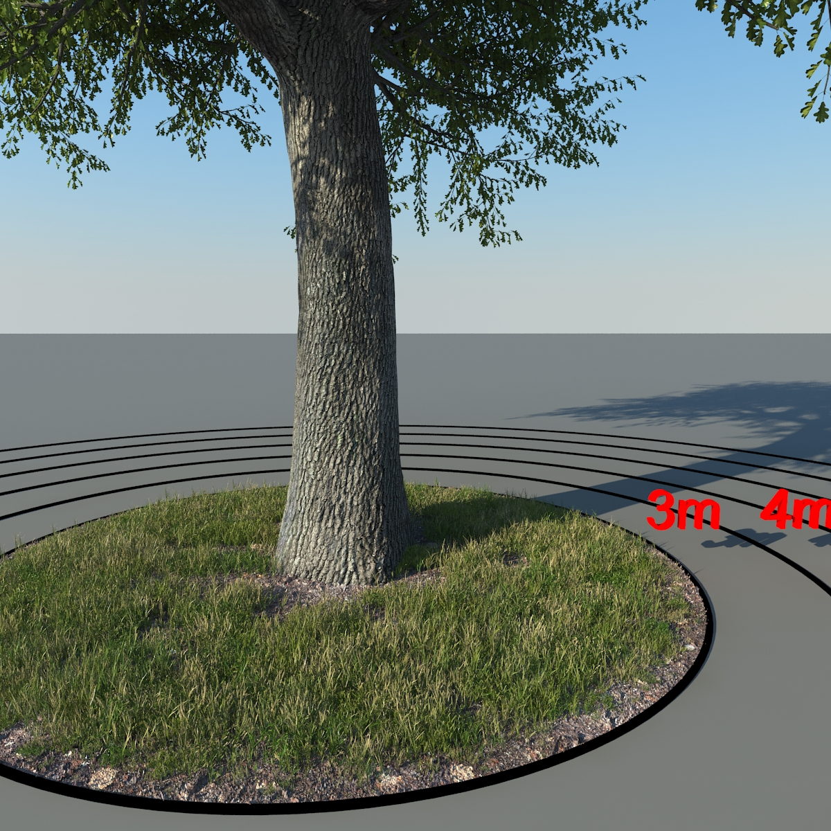oak trees 3d obj