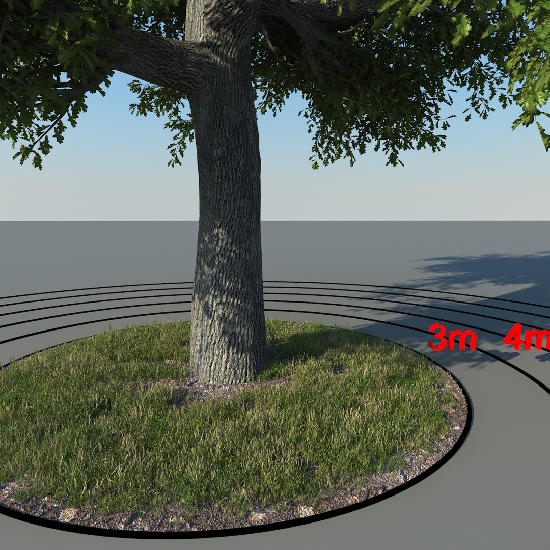 oak trees 3d obj