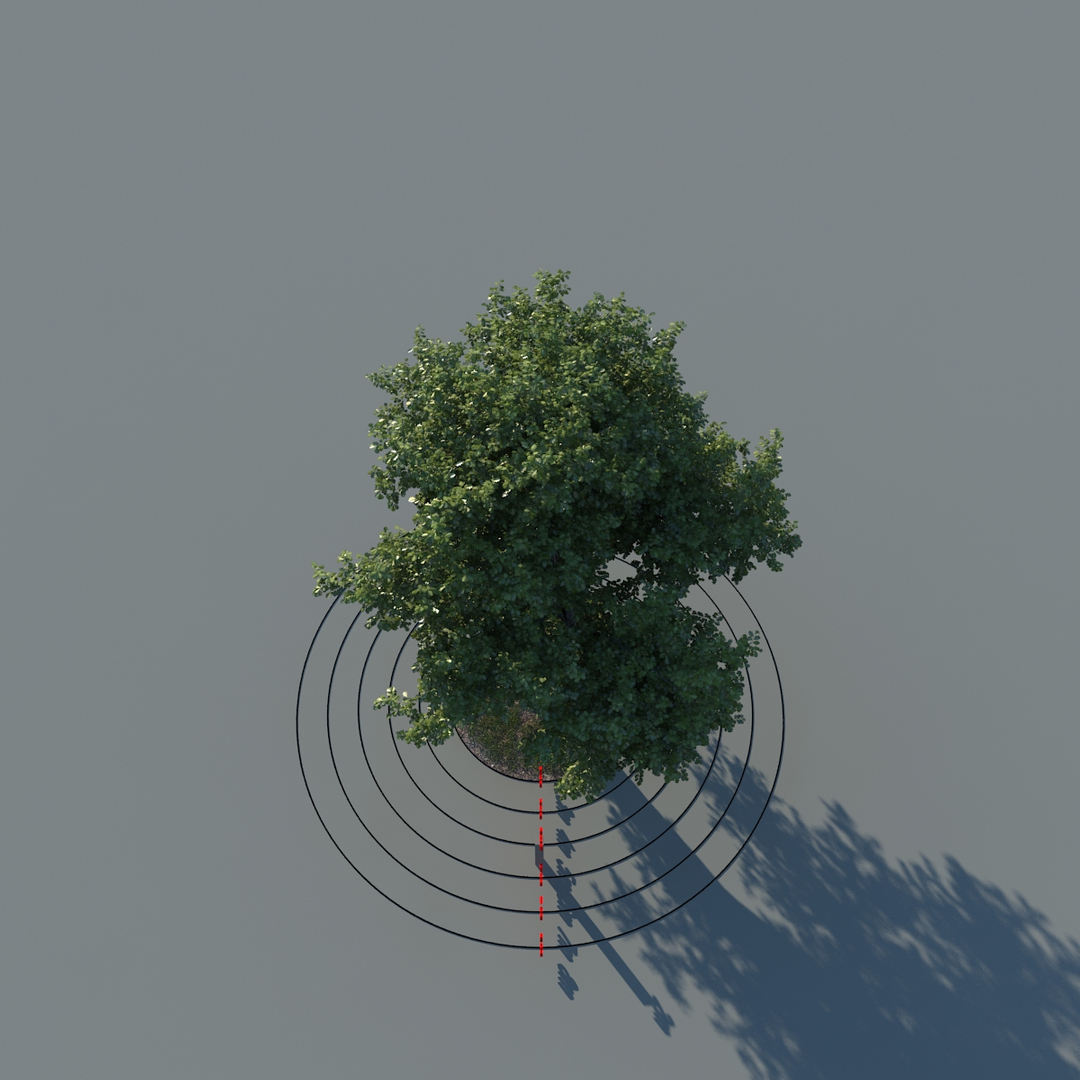 oak trees 3d obj
