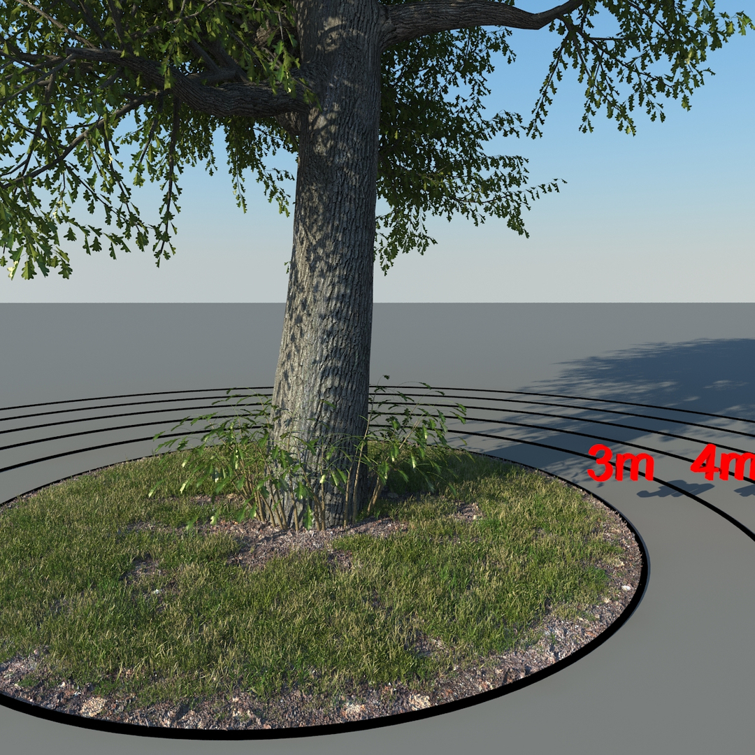 oak trees 3d obj