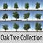 Oak Trees 3d Obj