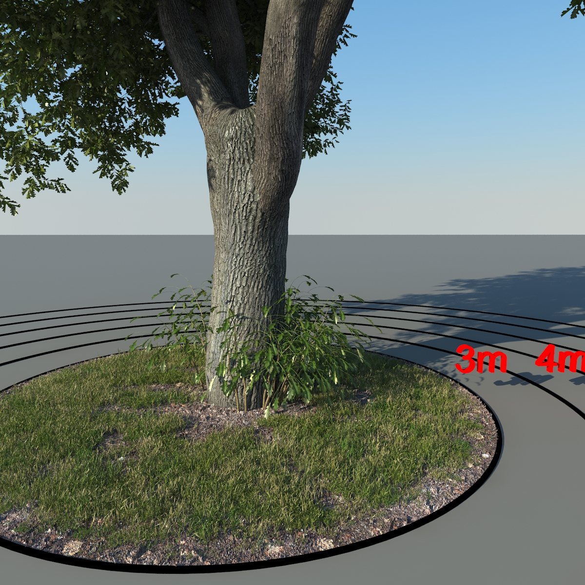 oak trees 3d obj