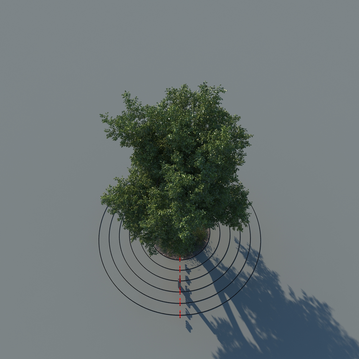 oak trees 3d obj