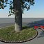 Oak Trees 3d Obj