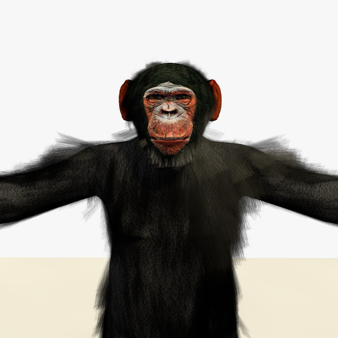 Rigged Chimpanzee Chimp 3d Model
