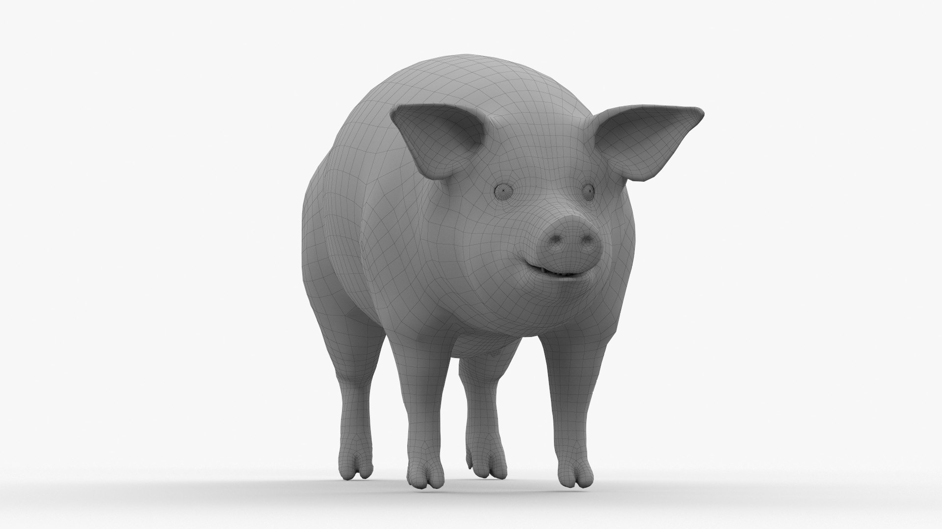 Full Male Pig Anatomy Static 3D model - TurboSquid 1934212
