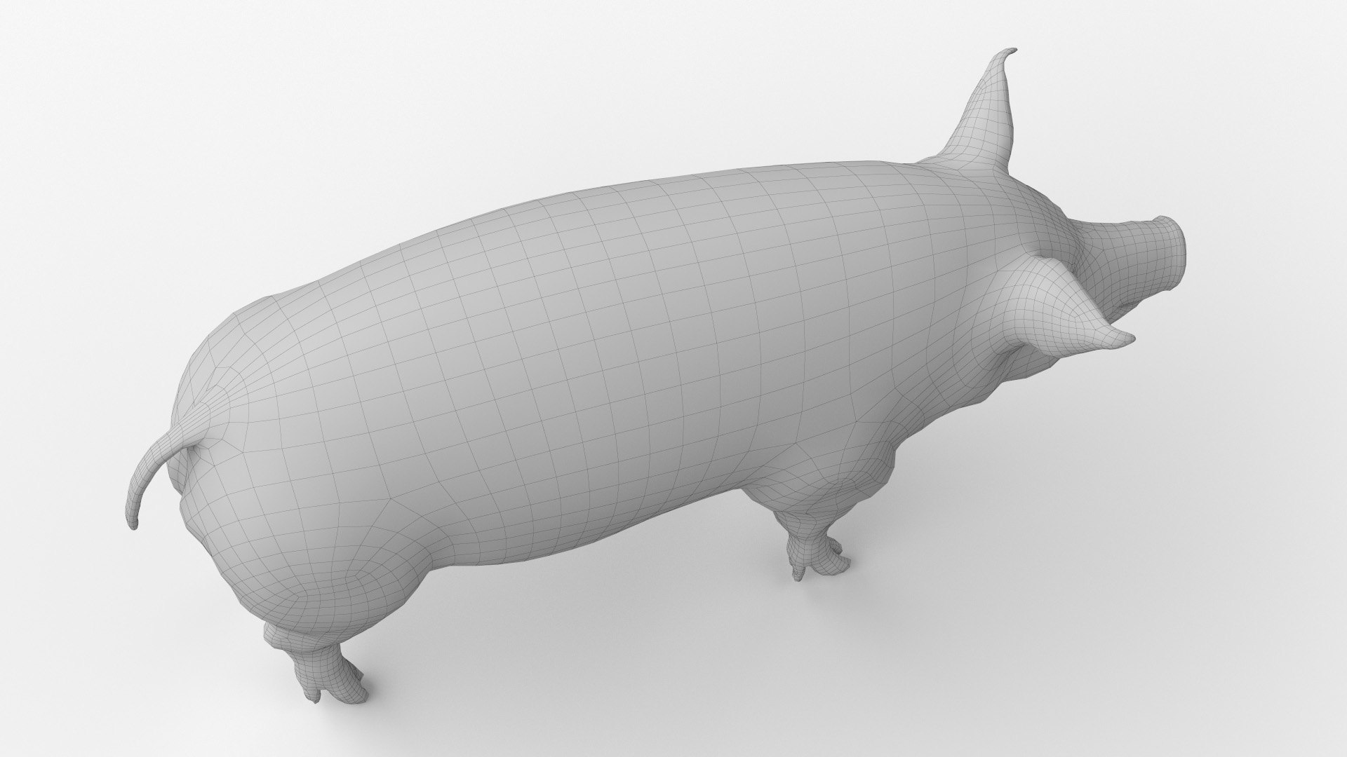 Full Male Pig Anatomy Static 3D model - TurboSquid 1934212