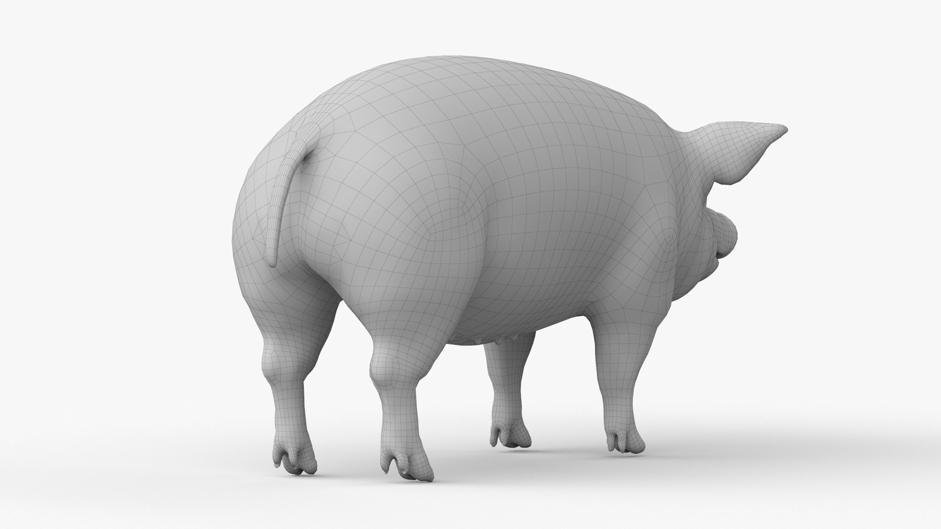 Full Male Pig Anatomy Static 3D model - TurboSquid 1934212