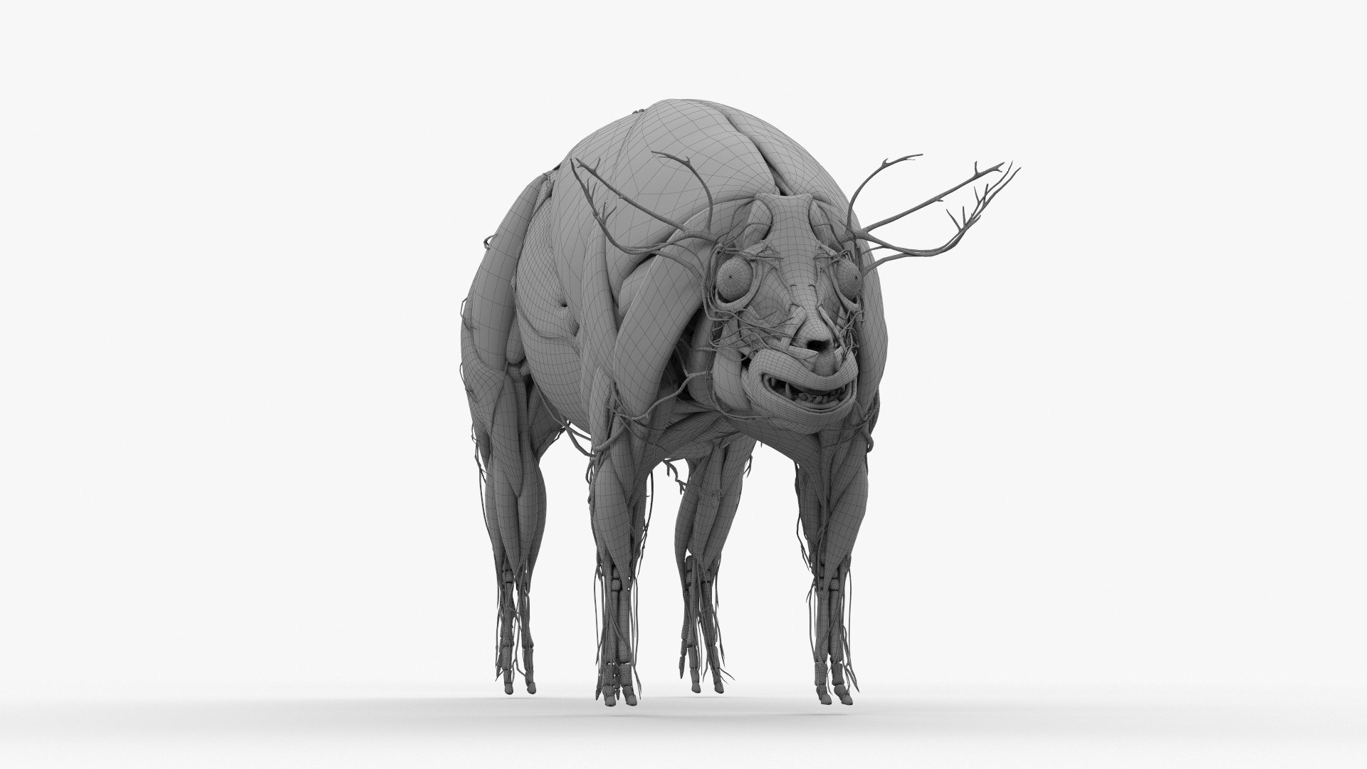 Full Male Pig Anatomy Static 3D model - TurboSquid 1934212