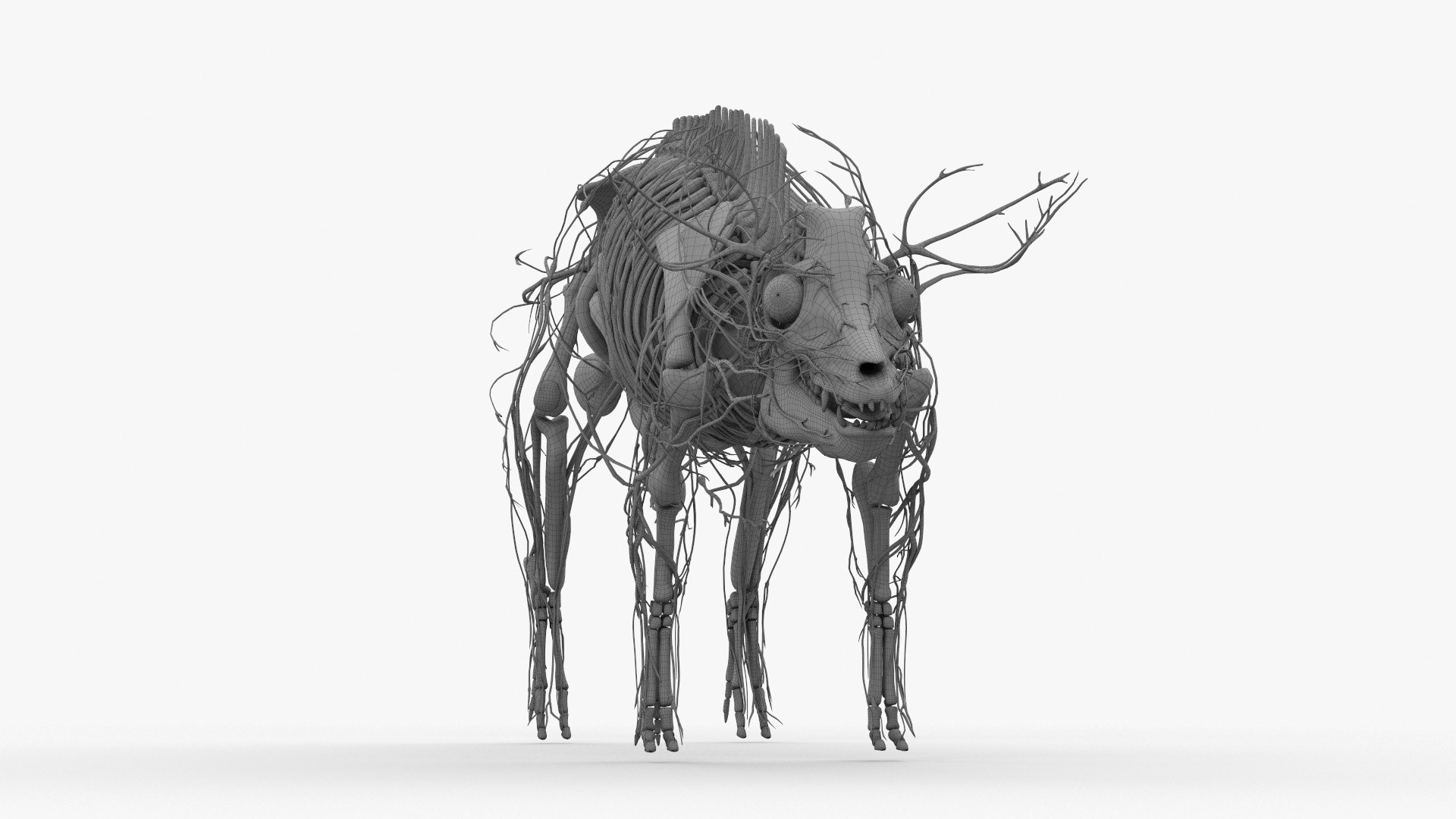 Full Male Pig Anatomy Static 3D model - TurboSquid 1934212