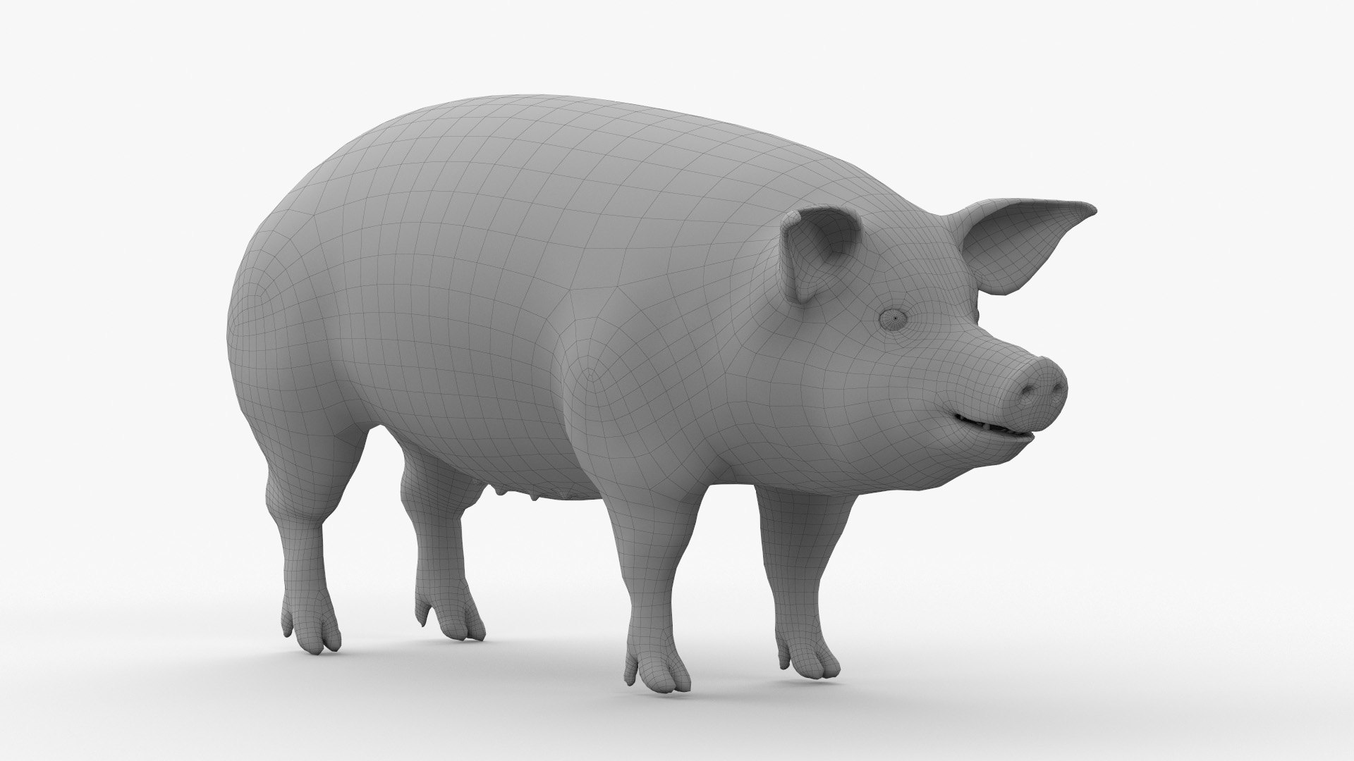 Full Male Pig Anatomy Static 3D model - TurboSquid 1934212