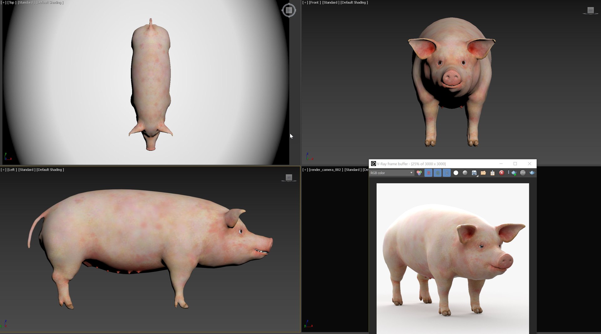 Full Male Pig Anatomy Static 3D model - TurboSquid 1934212