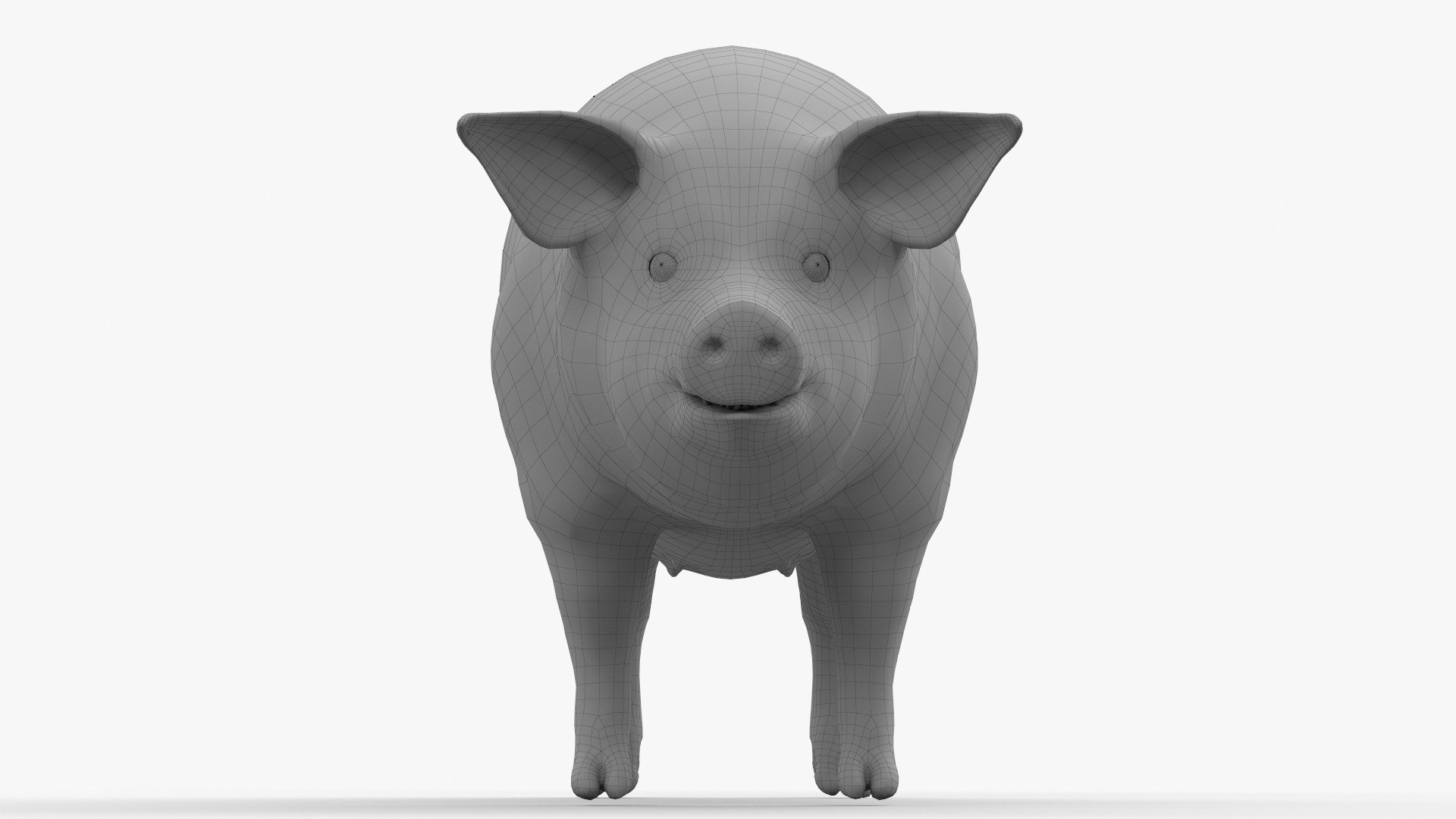 Full Male Pig Anatomy Static 3D model - TurboSquid 1934212