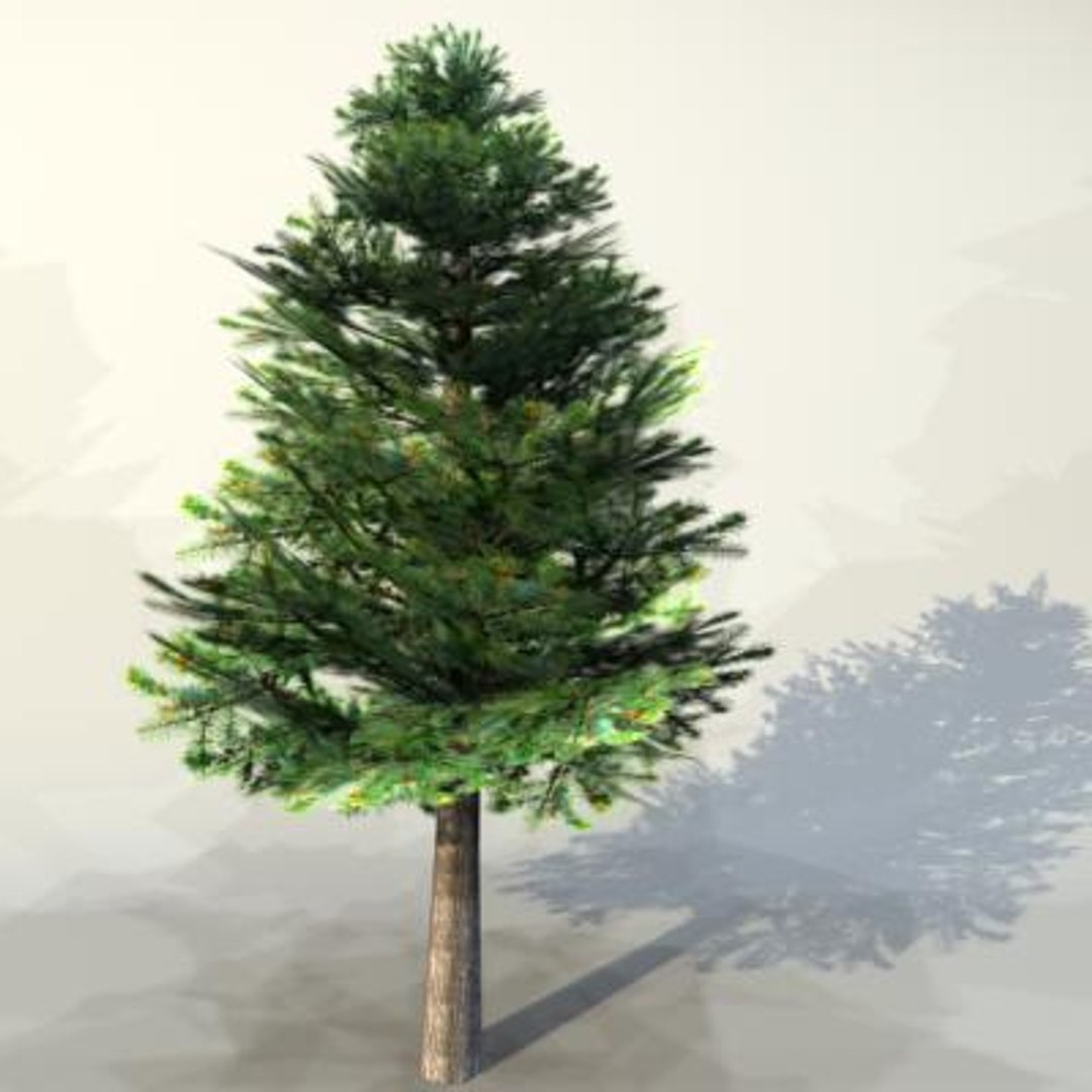 3d Model Pc Tree